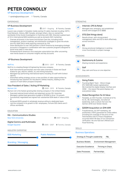 5 VP Business Development Resume Examples - January 2025