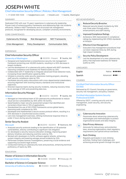 26 Chief Data Officer Resume Examples - 2026