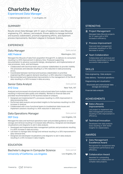5 Data Manager Resume Examples & Guide for 2024