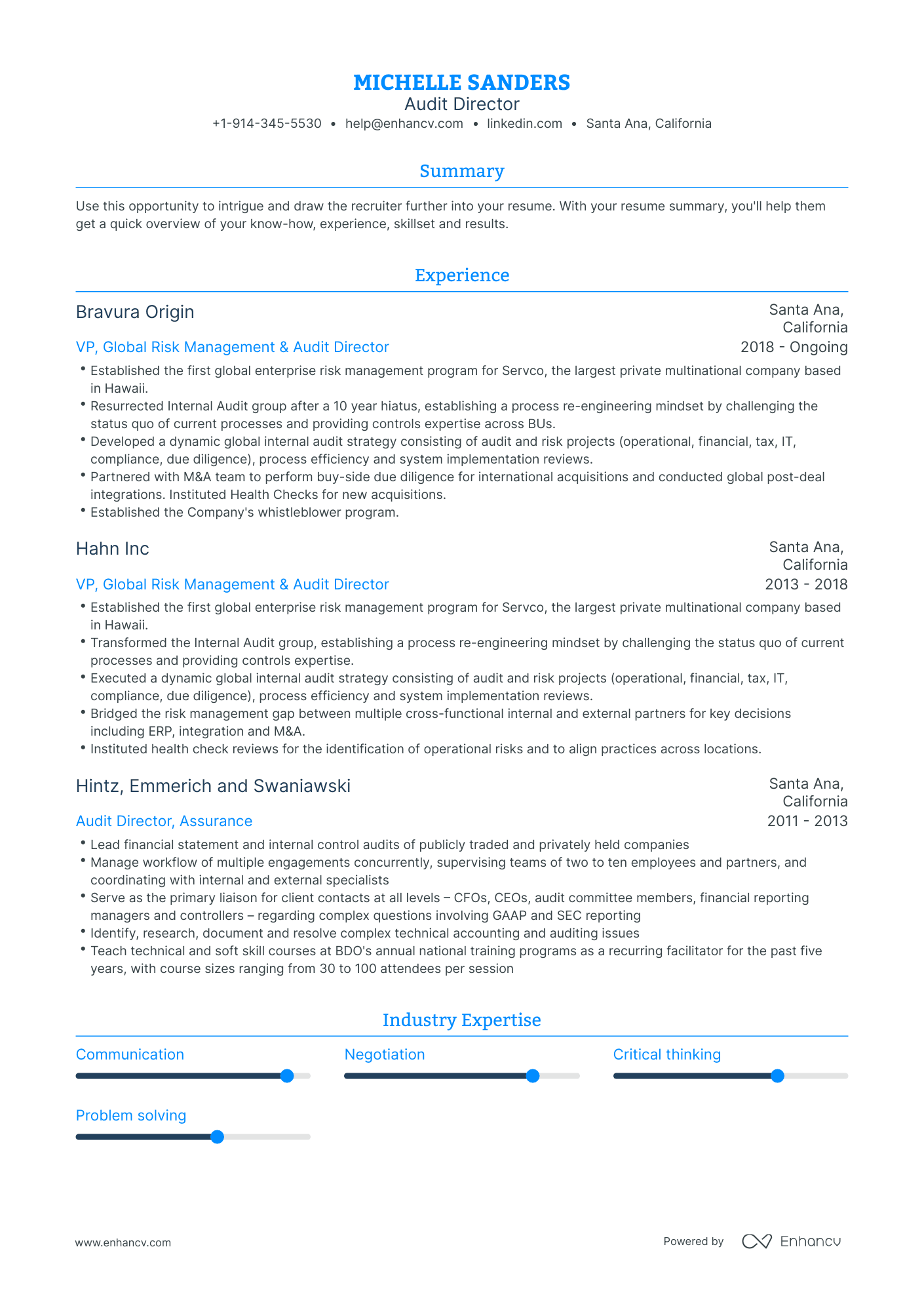 Audit Director Resume Examples & Guide for 2023 (Layout, Skills ...