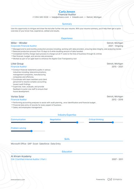 Financial Auditor Resume Examples & Guide for 2023 (Layout, Skills ...