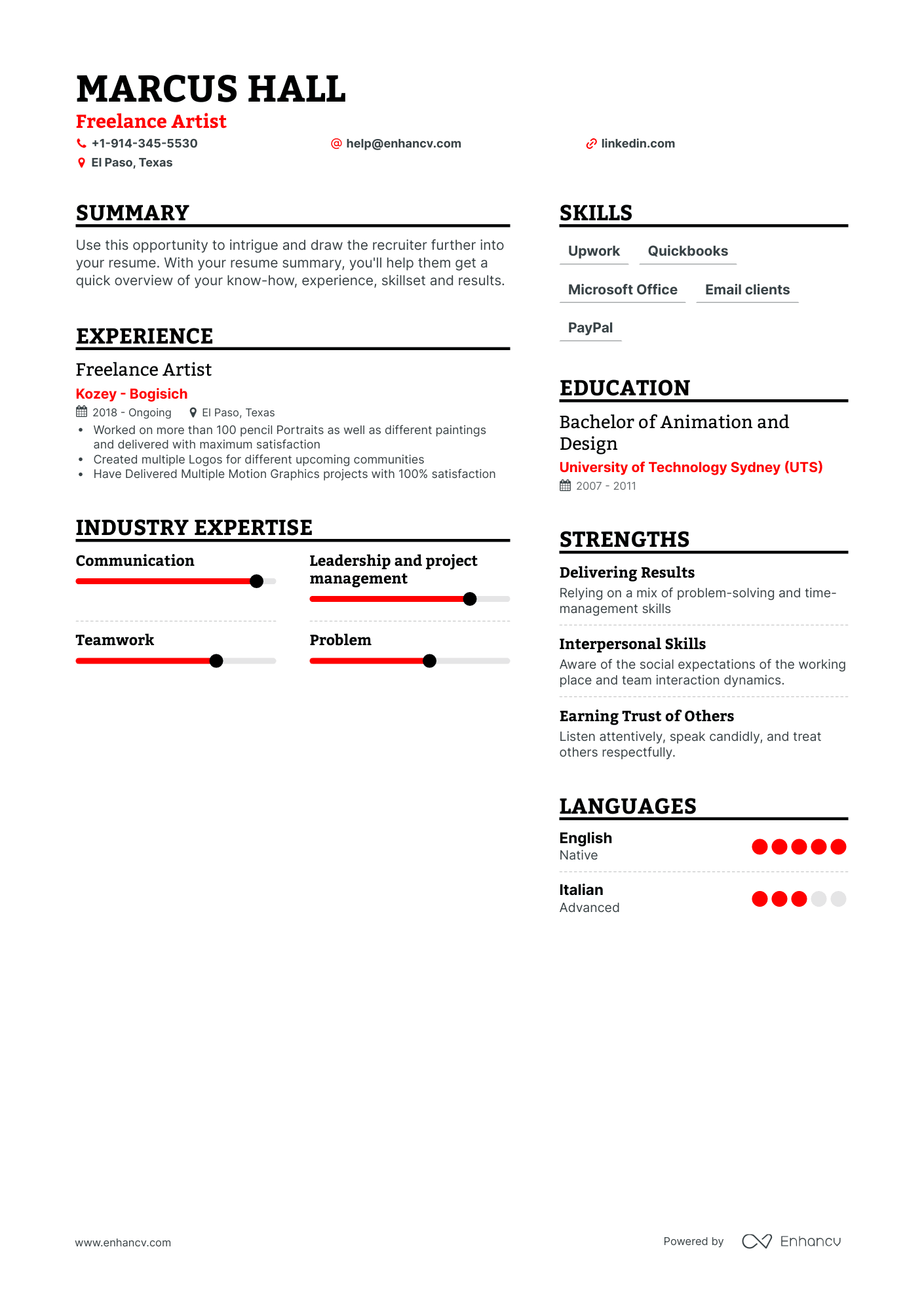 Freelance Artist Resume Examples & Guide for 2023 (Layout, Skills ...