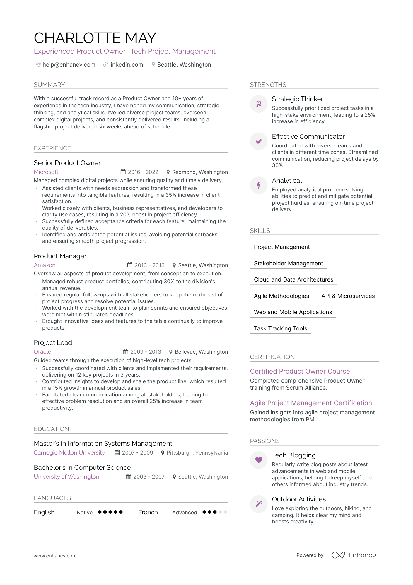 5 Product Owner Resume Examples & Guide for 2024