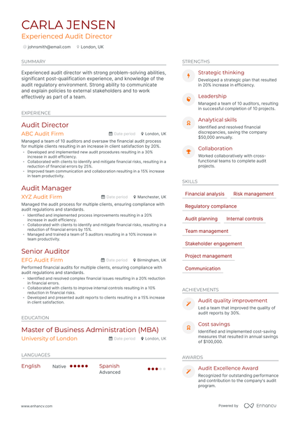 5 Audit Director Resume Examples & Guide for 2024