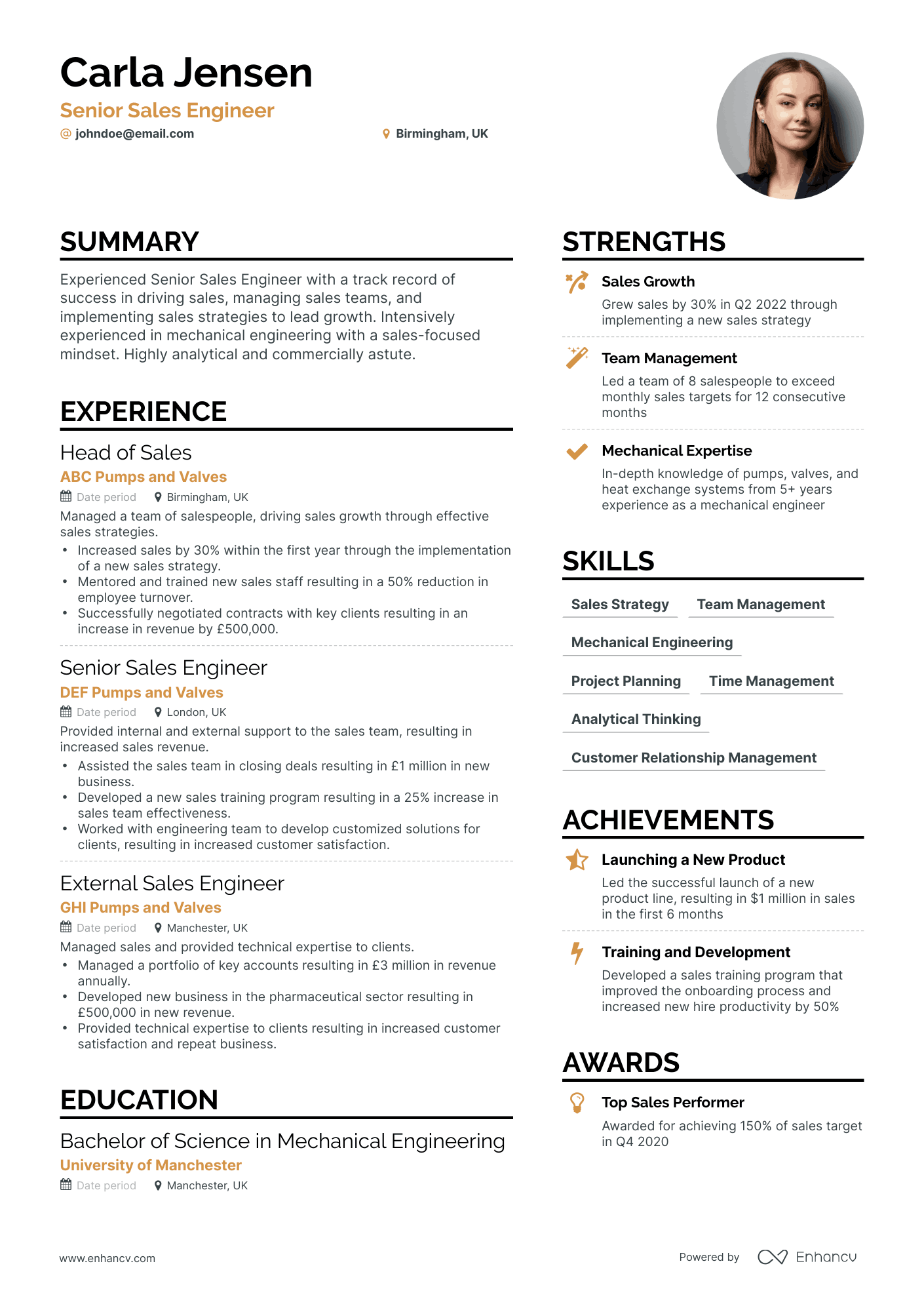 2 Sales Engineer Resume Examples & Guide for 2024