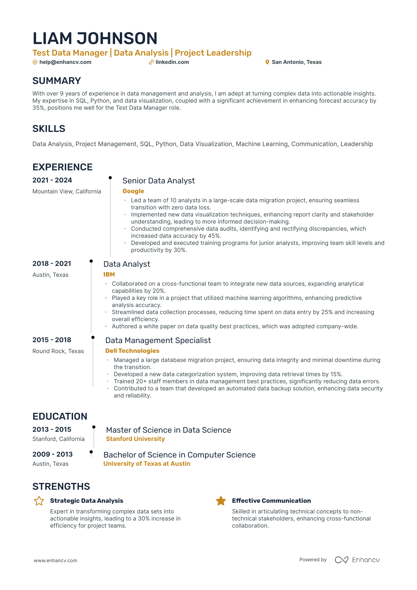 10 Data Manager Resume Examples & Guide for 2025