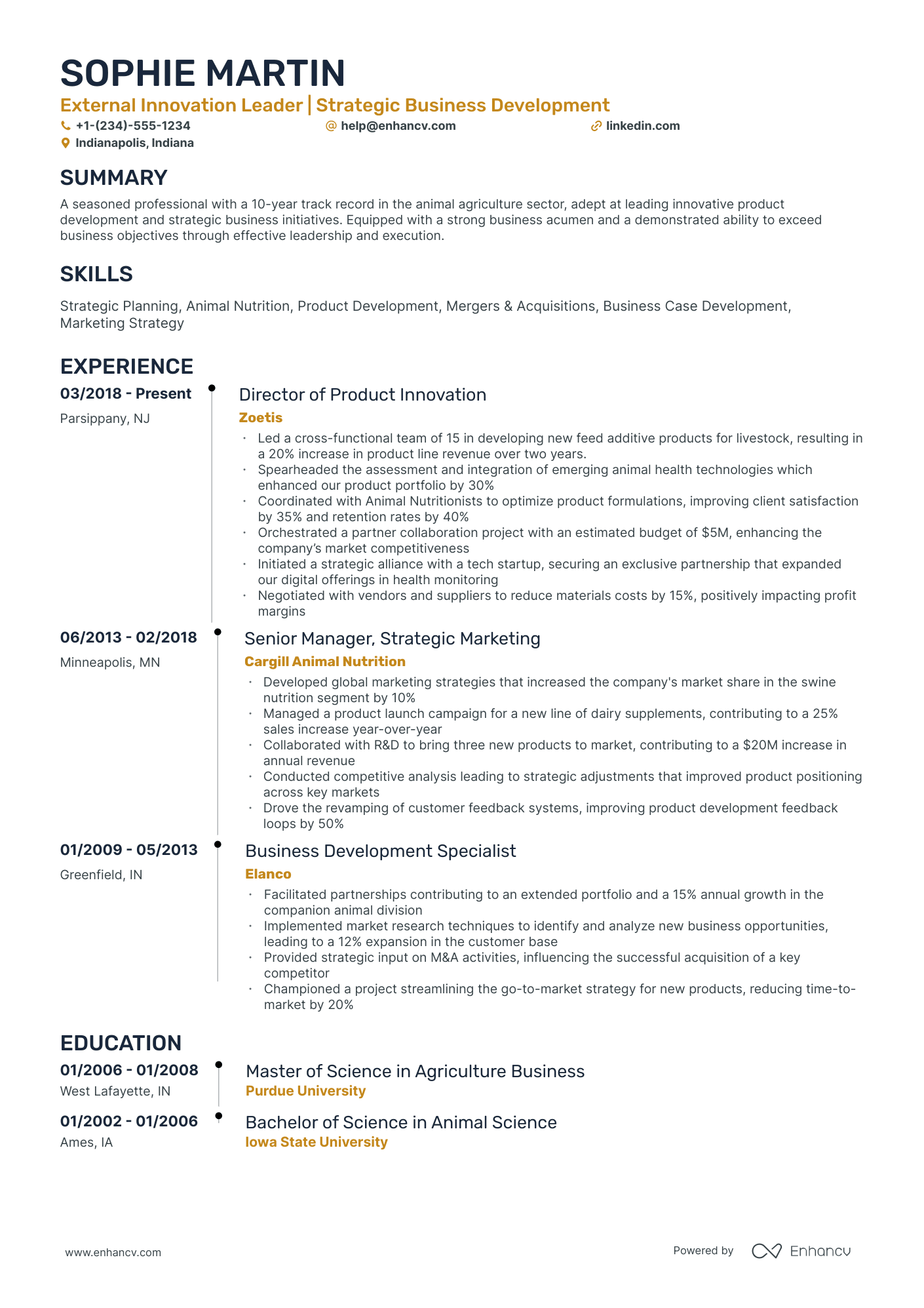 10 Executive Manager Resume Examples, Templates & Guide for 2026