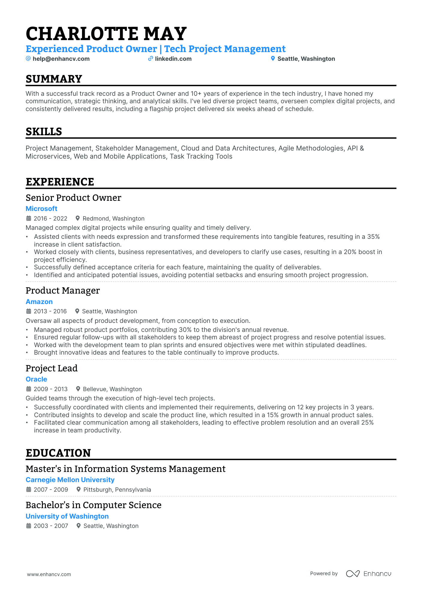 10 Product Owner Resume Examples & Guide for 2025