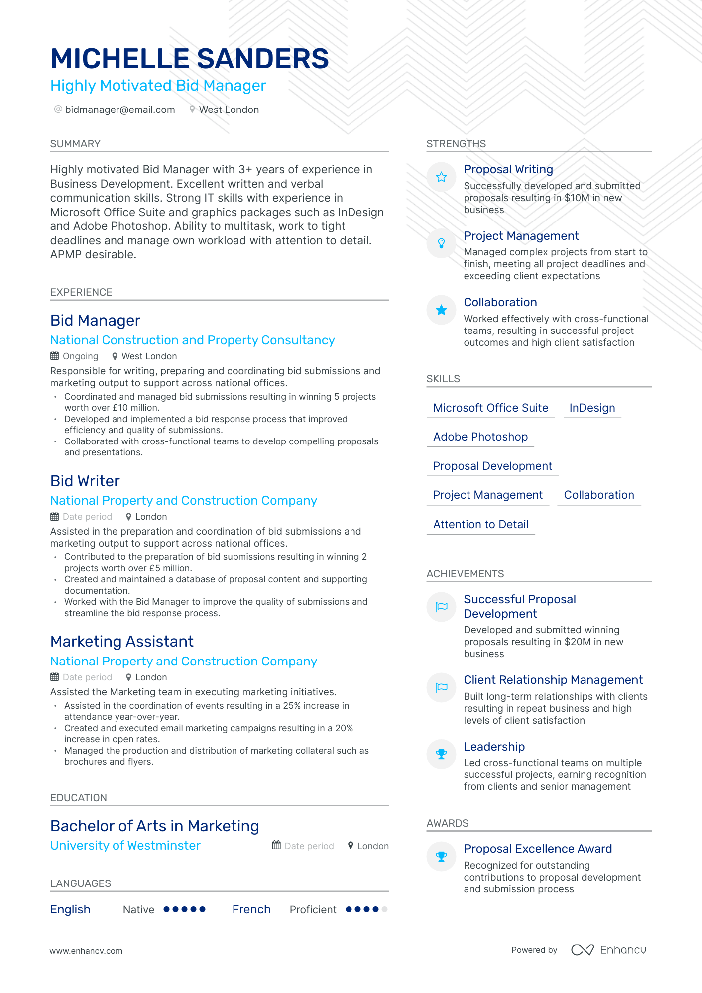 Bid Manager Resume Examples & Guide for 2024
