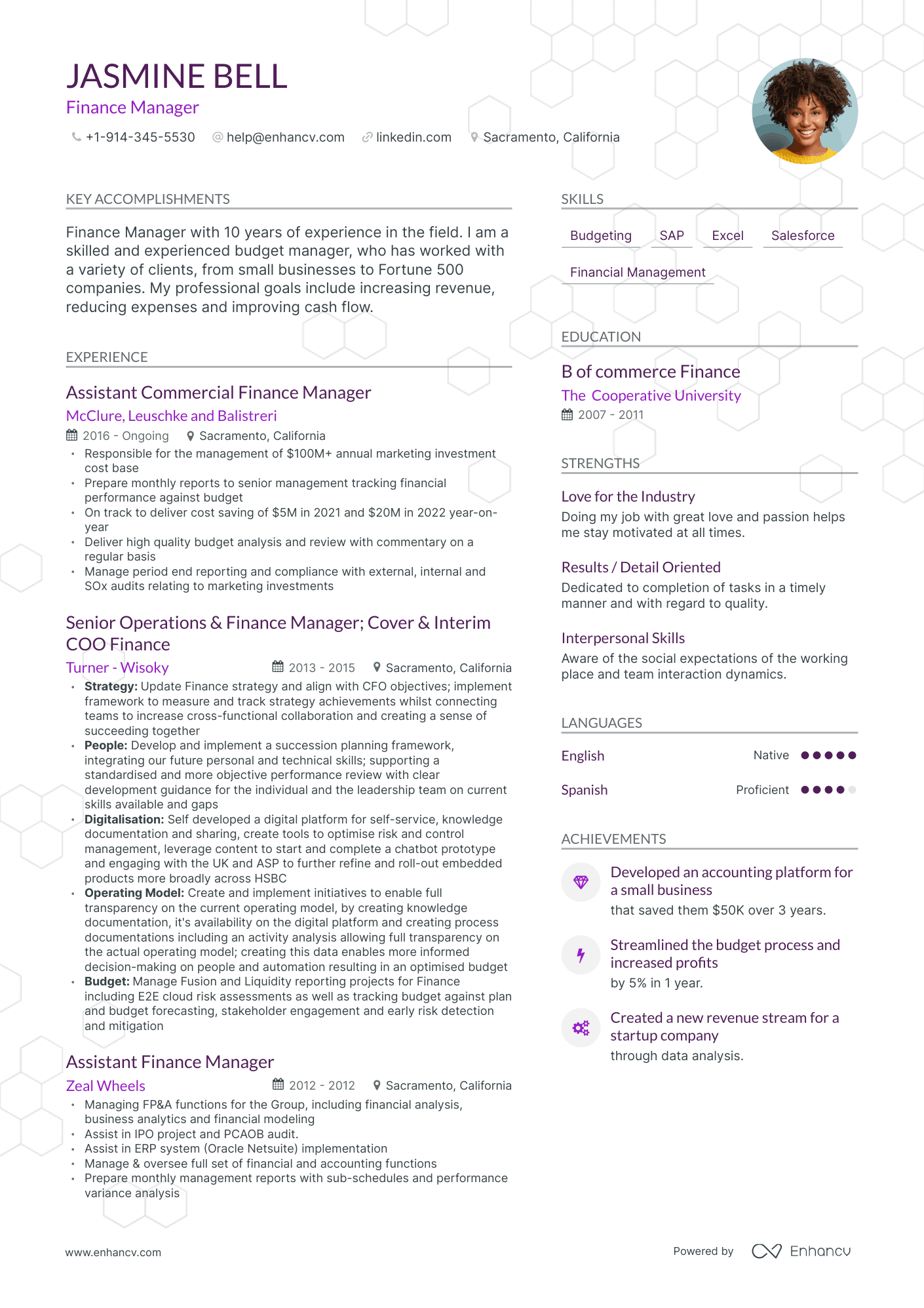 Finance Manager Resume Examples & Guide for 2023 (Layout, Skills ...