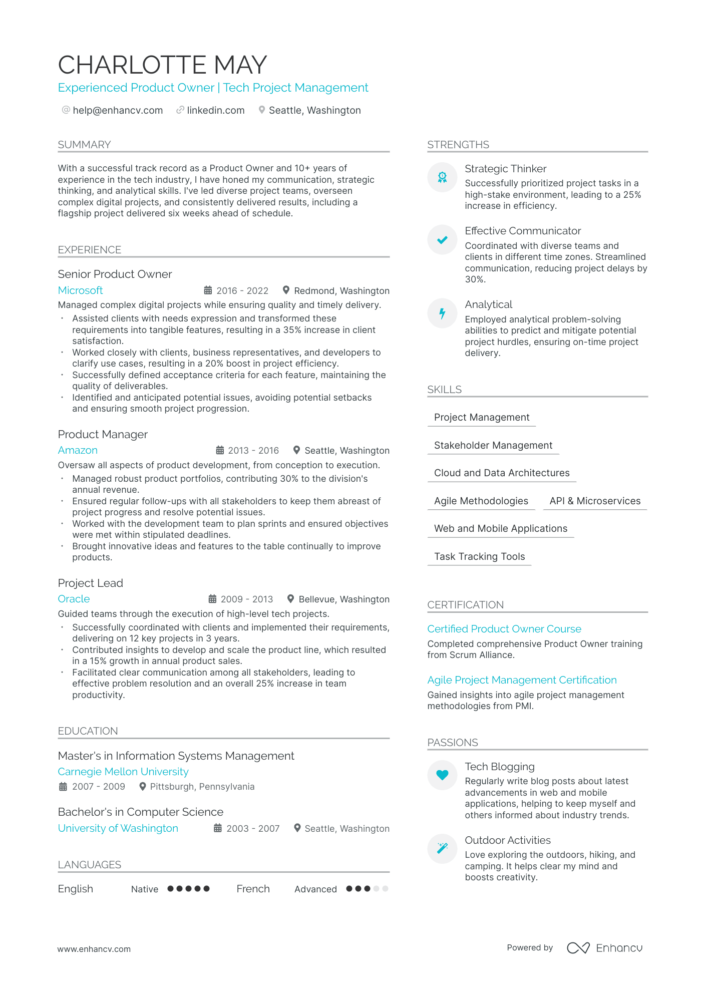 5 Product Owner Resume Examples & Guide for 2024