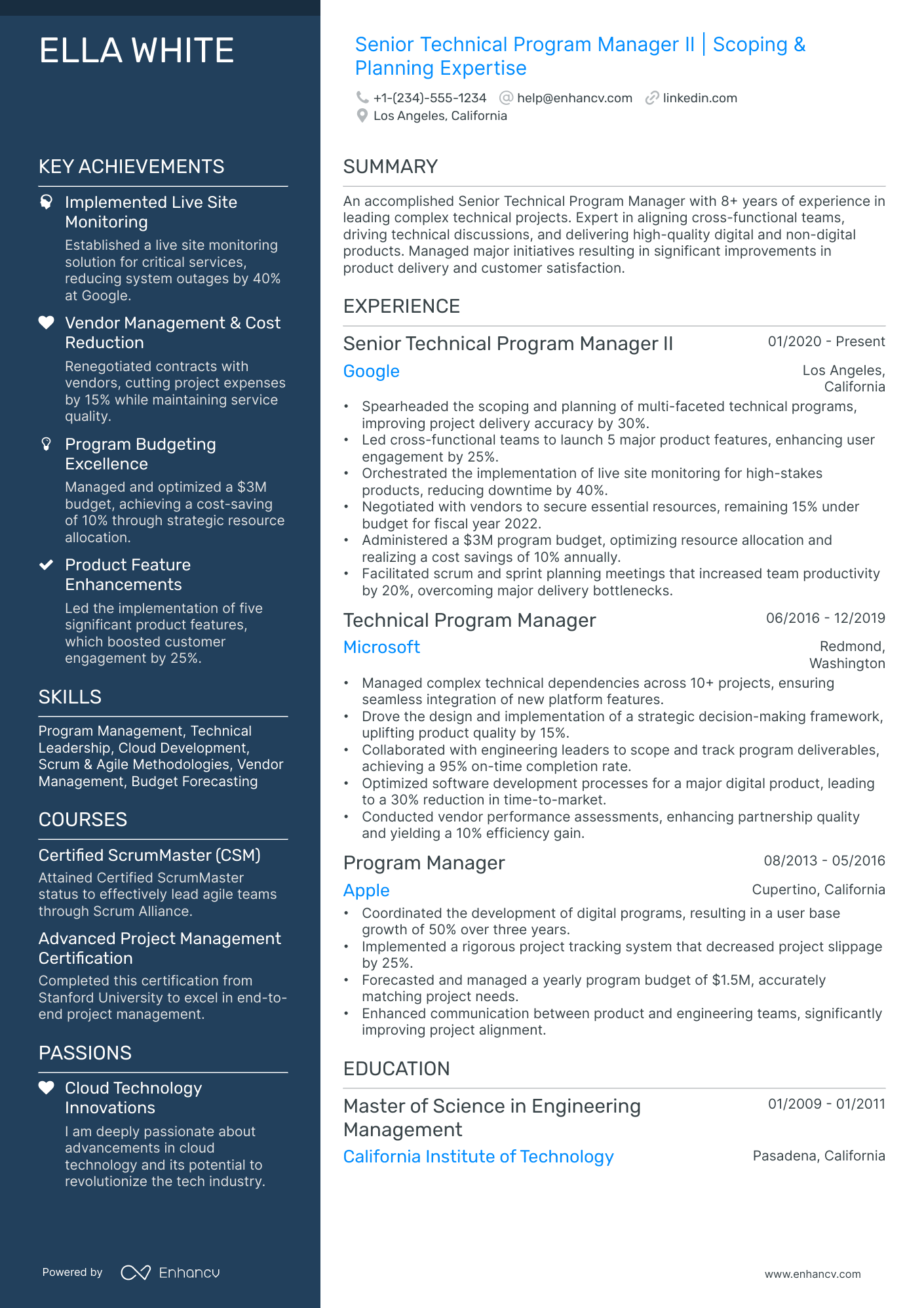 10 Technical Program Manager Resume Examples & Guide for 2025
