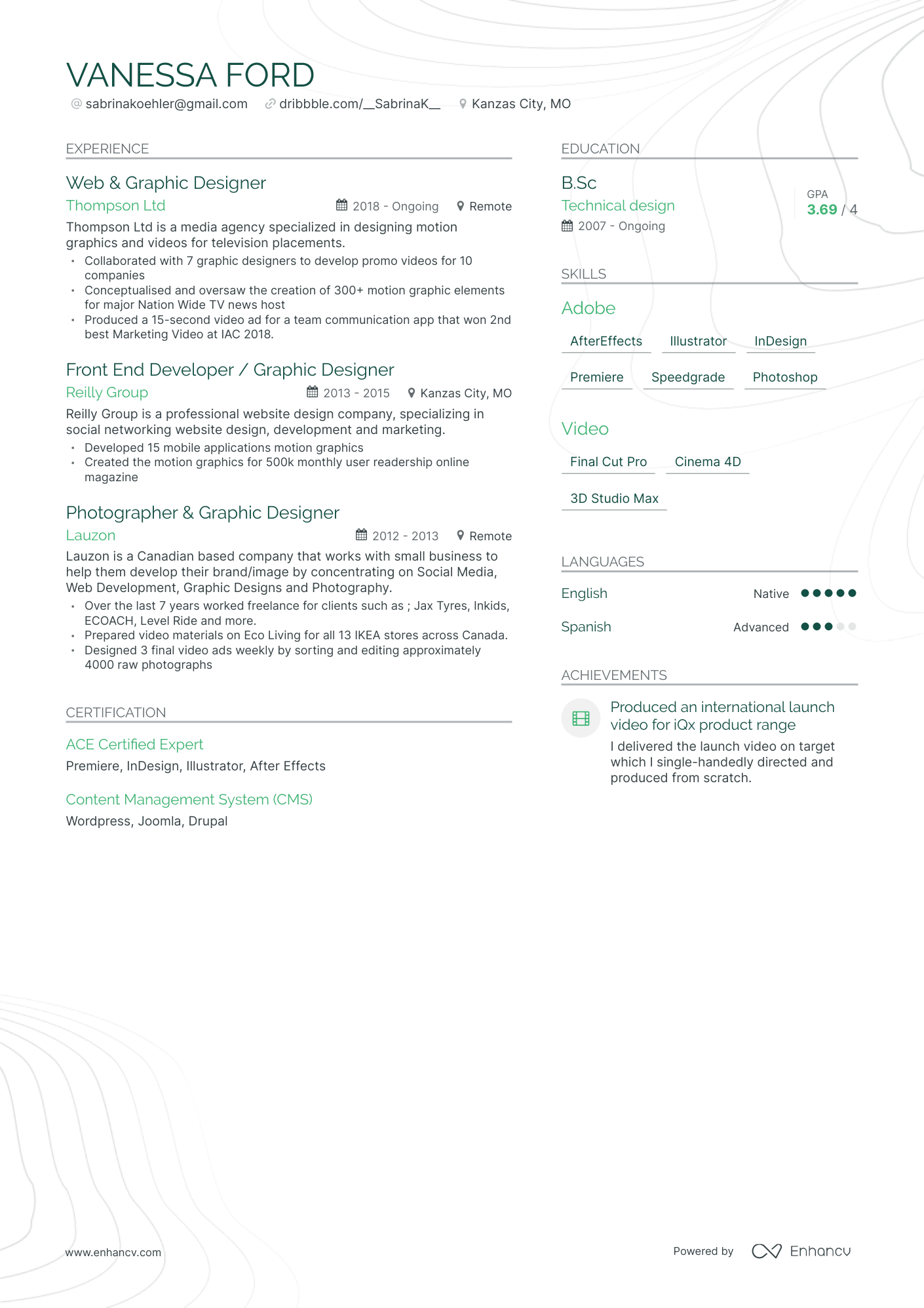 5 Motion Graphics Resume Examples & Guide for 2024