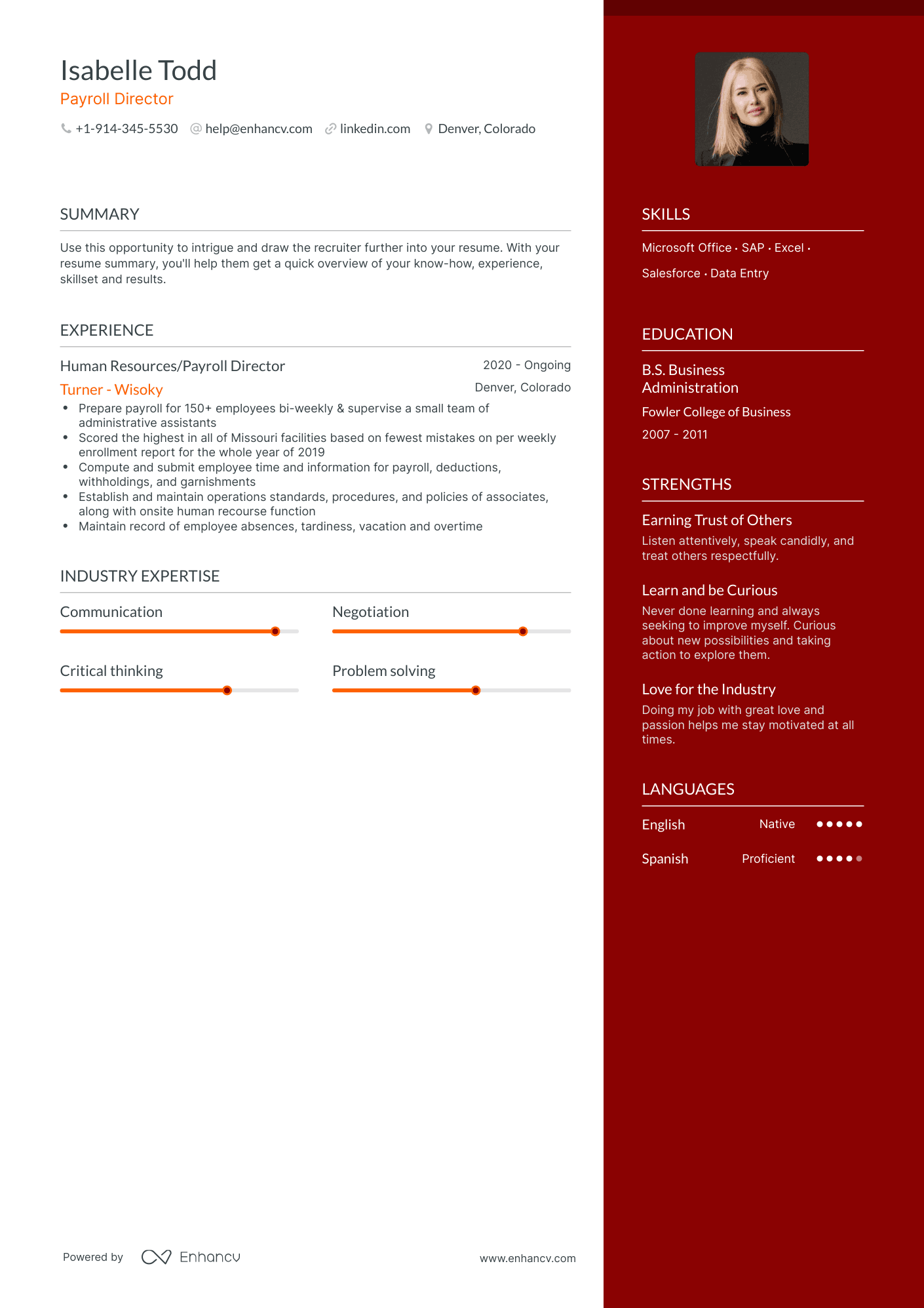 Payroll Director Resume Examples & Guide for 2023 (Layout, Skills ...