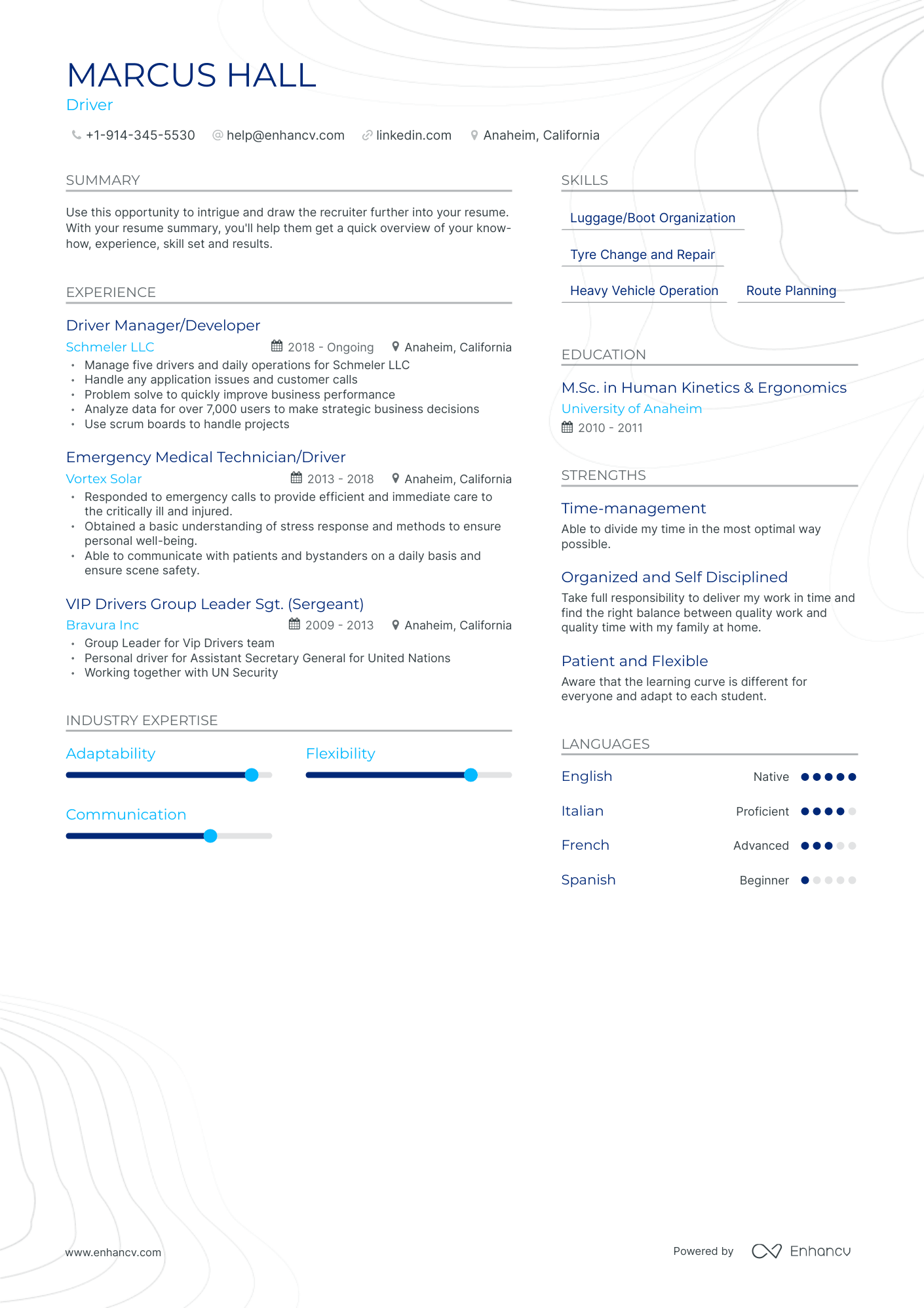 Job-Winning Driver Resume Examples, Samples & Tips | Enhancv (Layout ...