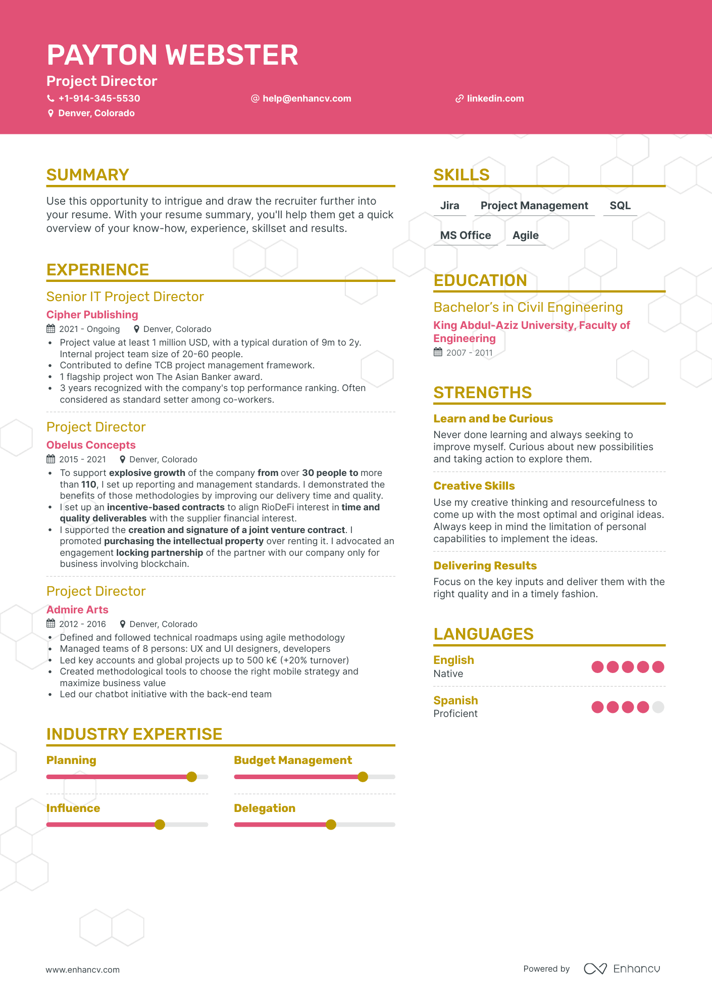 Project Director Resume Examples & Guide for 2023 (Layout, Skills ...
