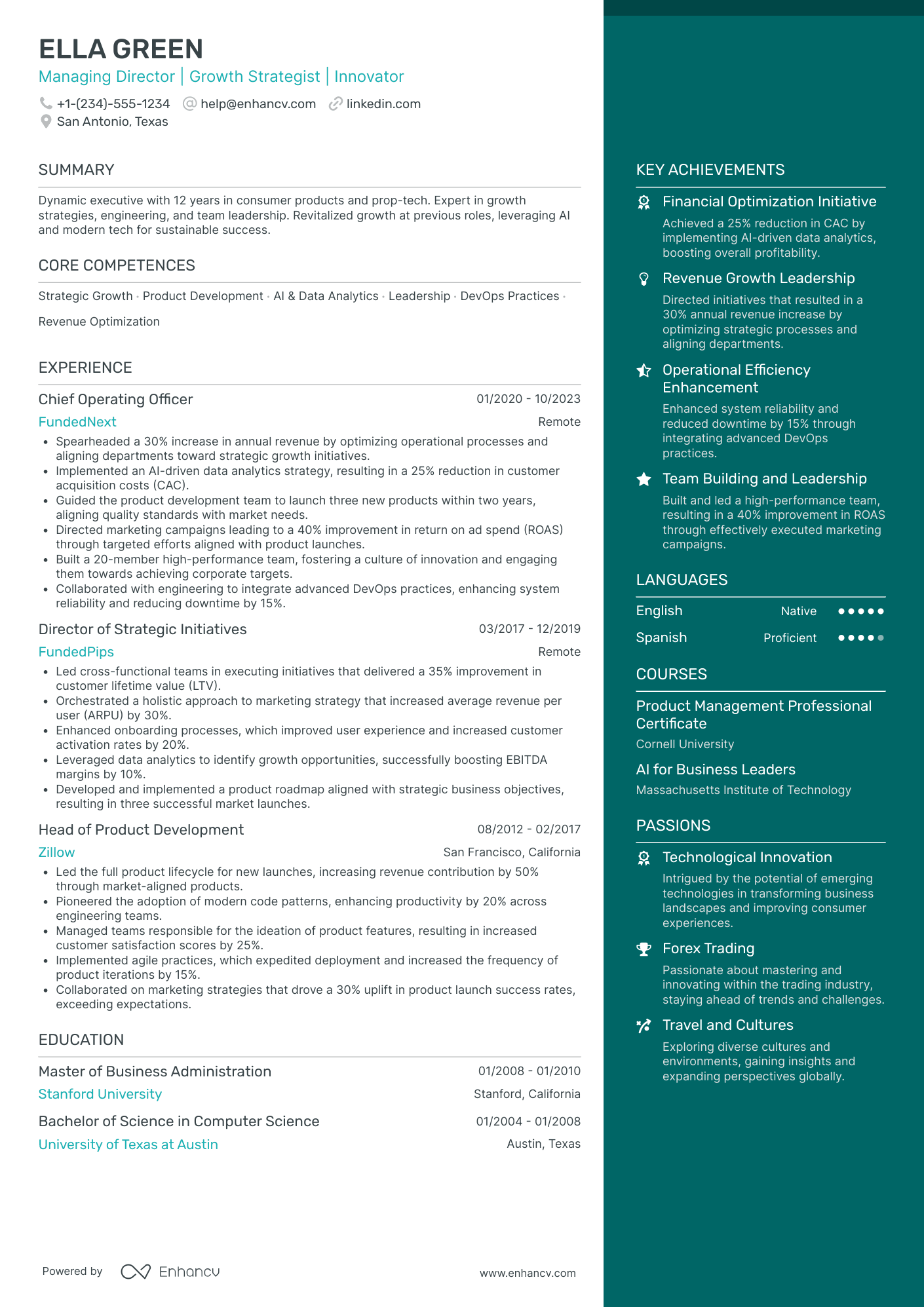 42 CEO Resume Examples & Guide for 2026