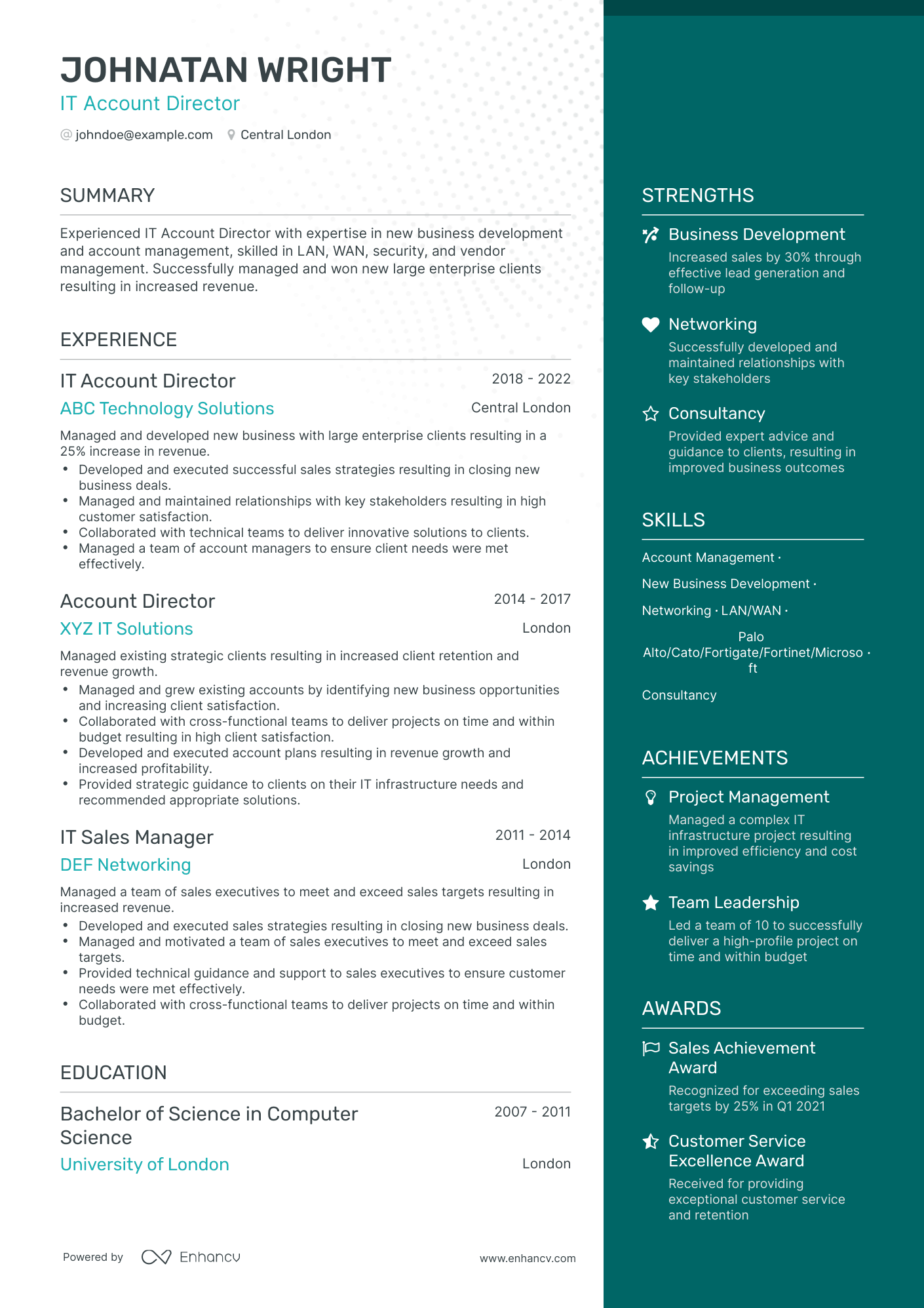 5 Account Director Resume Examples & Guide for 2024