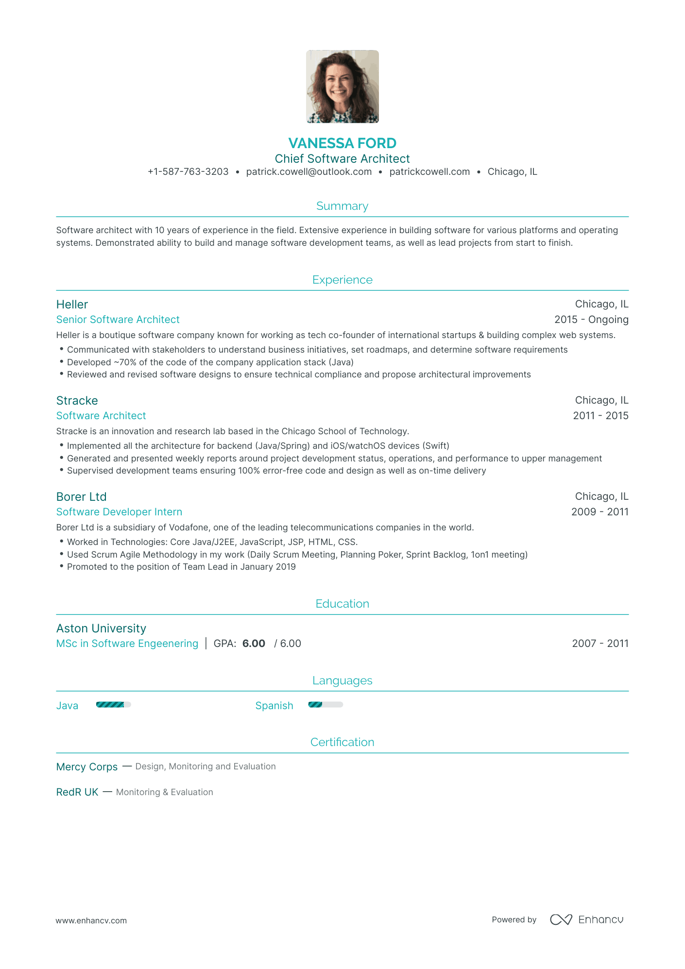 5 Software Architect Resume Examples & Guide for 2024