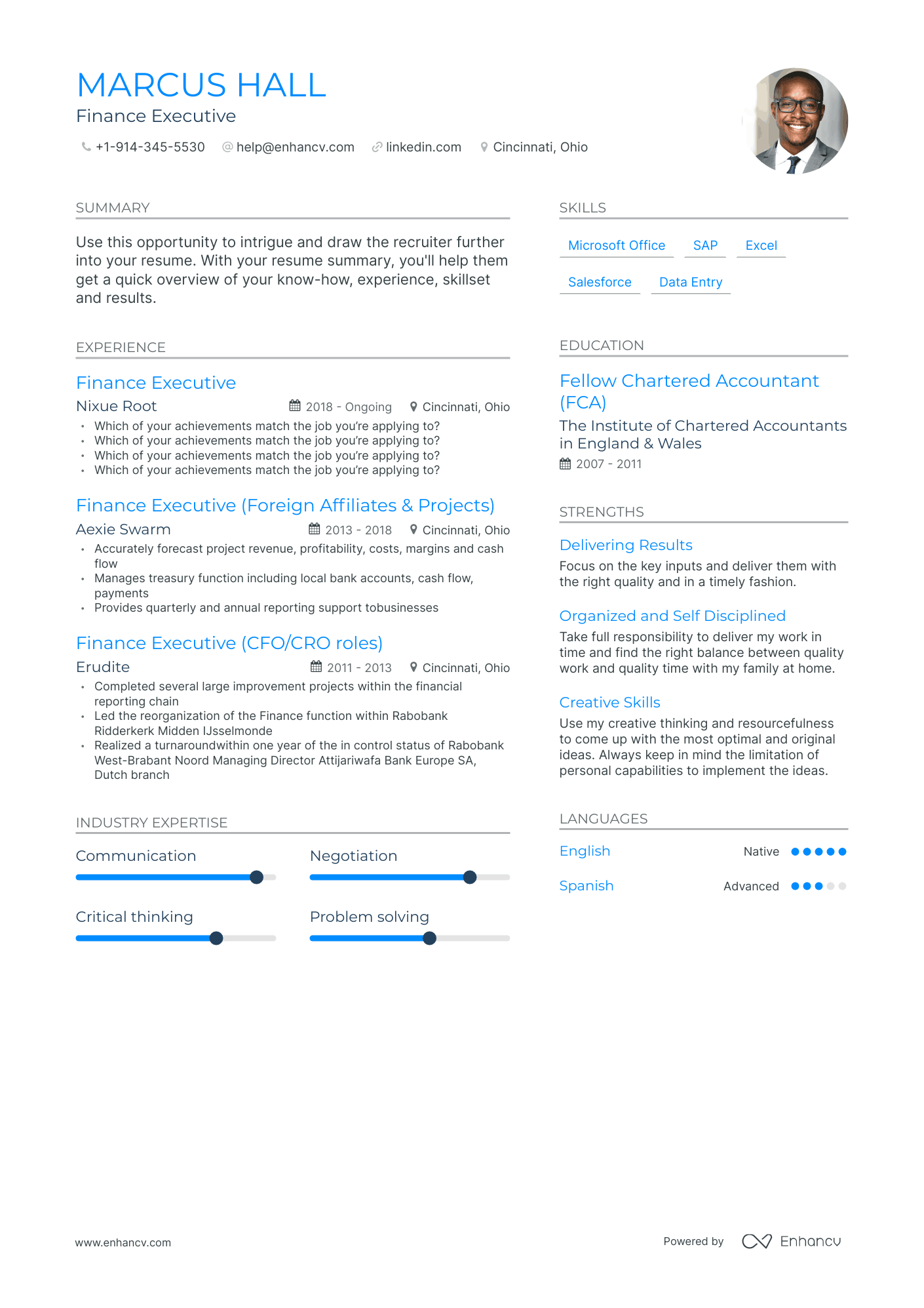 Finance Executive Resume Examples & Guide for 2023 (Layout, Skills ...