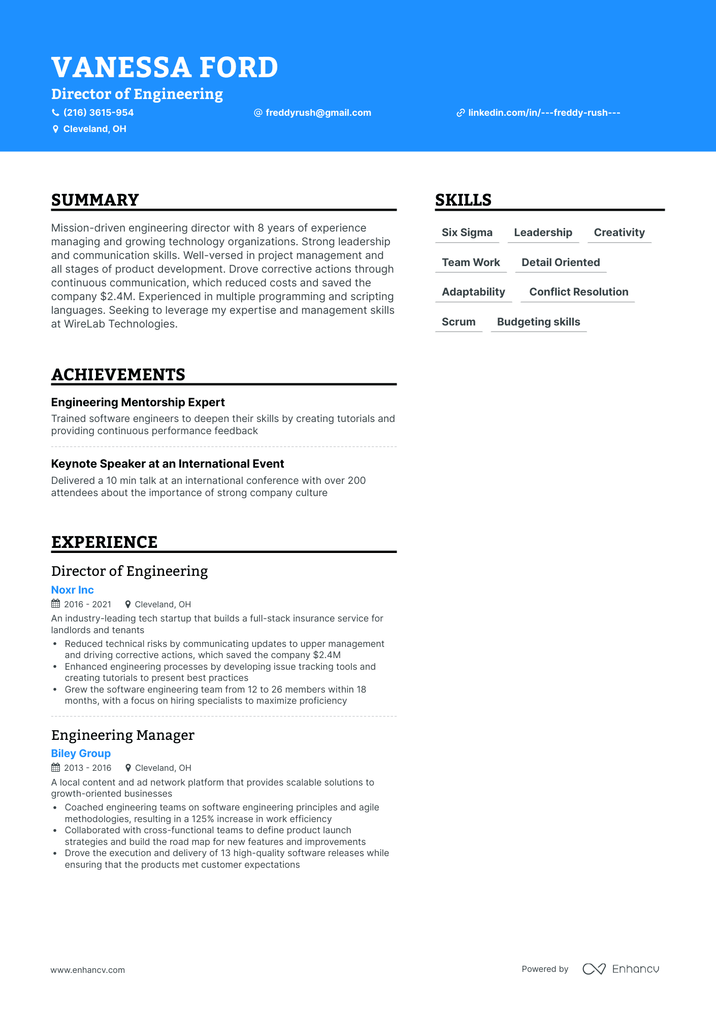 Director of Engineering Resume Examples & Guide for 2023 (Layout ...