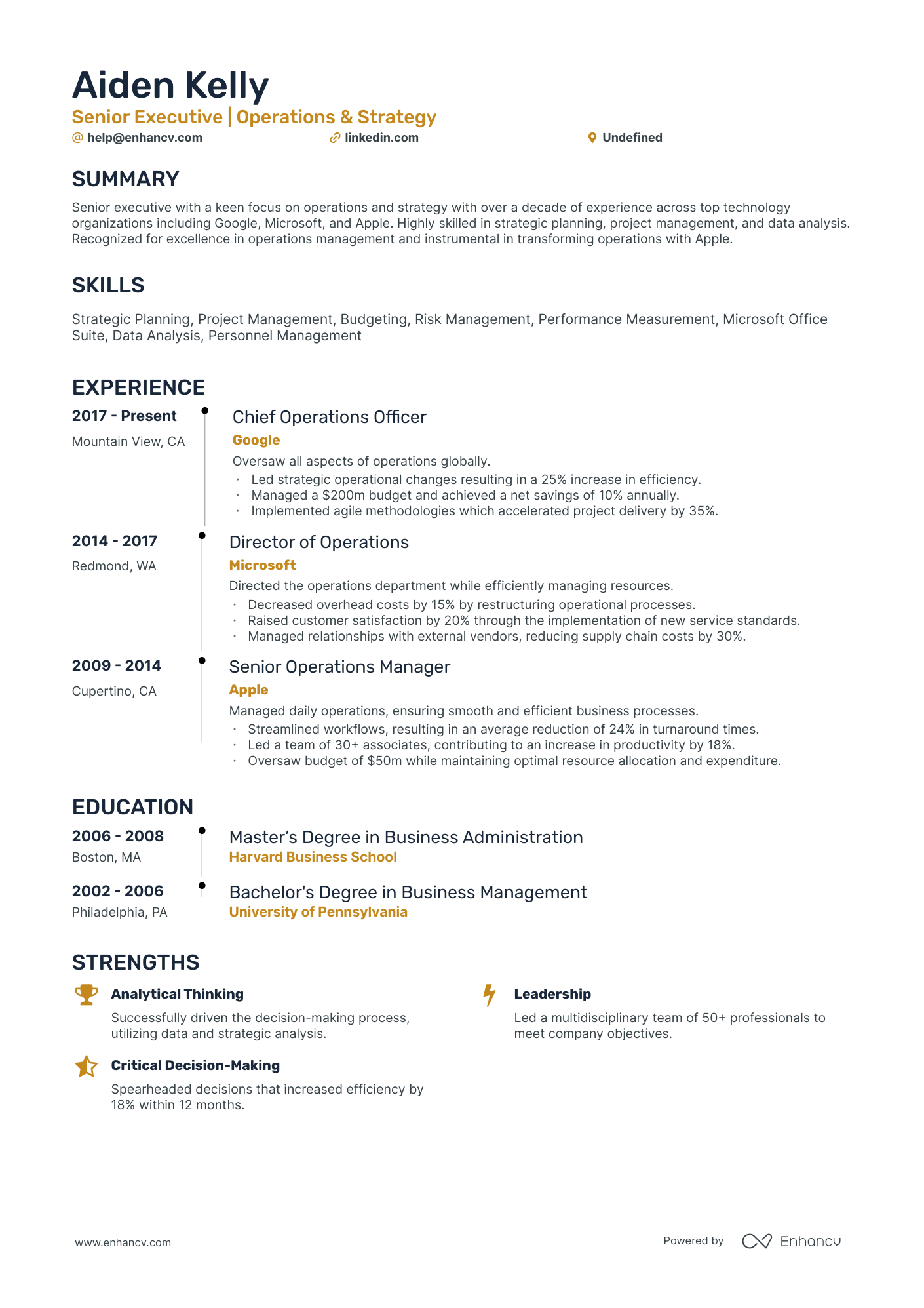 10 Board of Directors Resume Examples & Guide for 2026