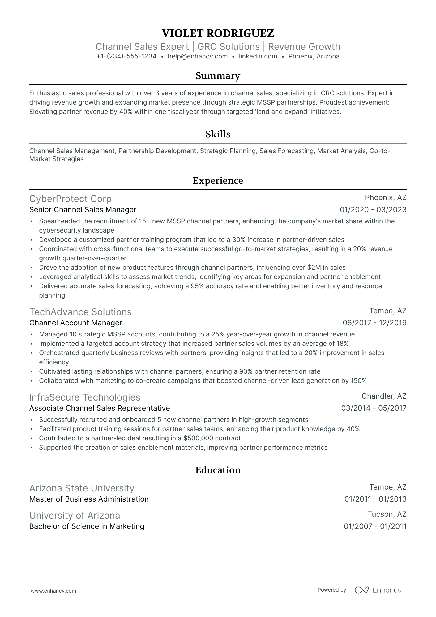 10 Channel Sales Manager Resume Examples & Guide for 2025