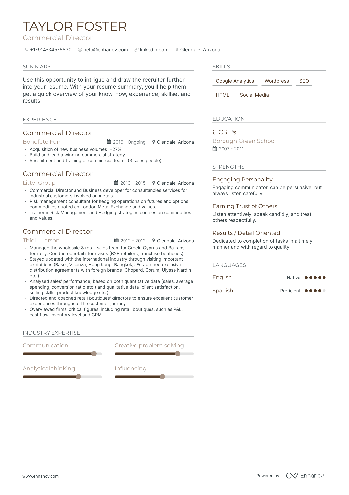 Commercial Director Resume Examples & Guide for 2023 (Layout, Skills ...