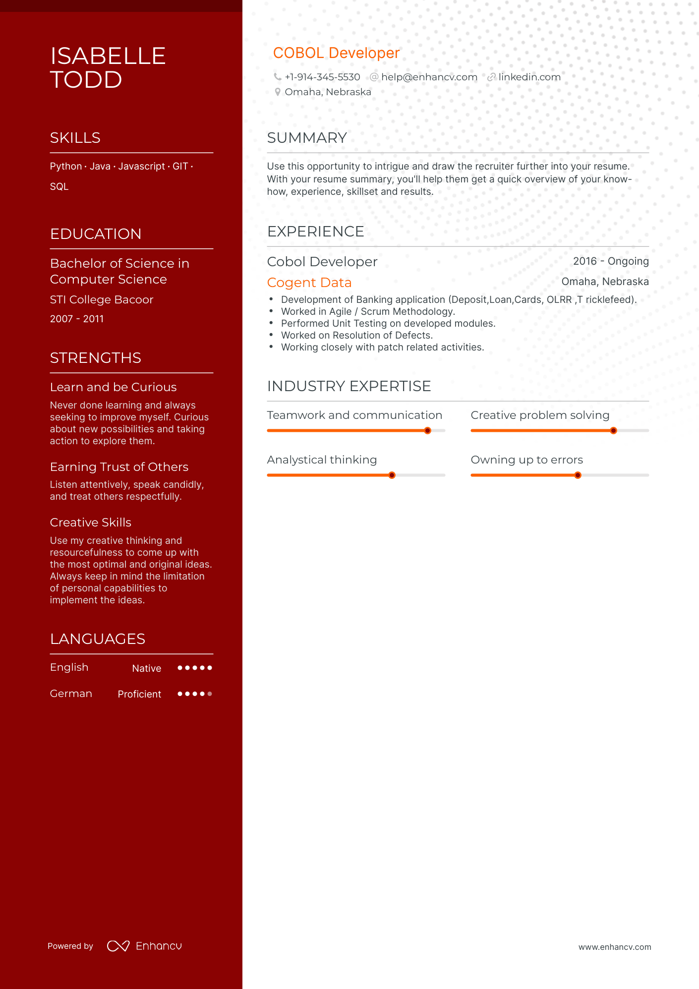 COBOL Developer Resume Examples & Guide for 2023 (Layout, Skills ...