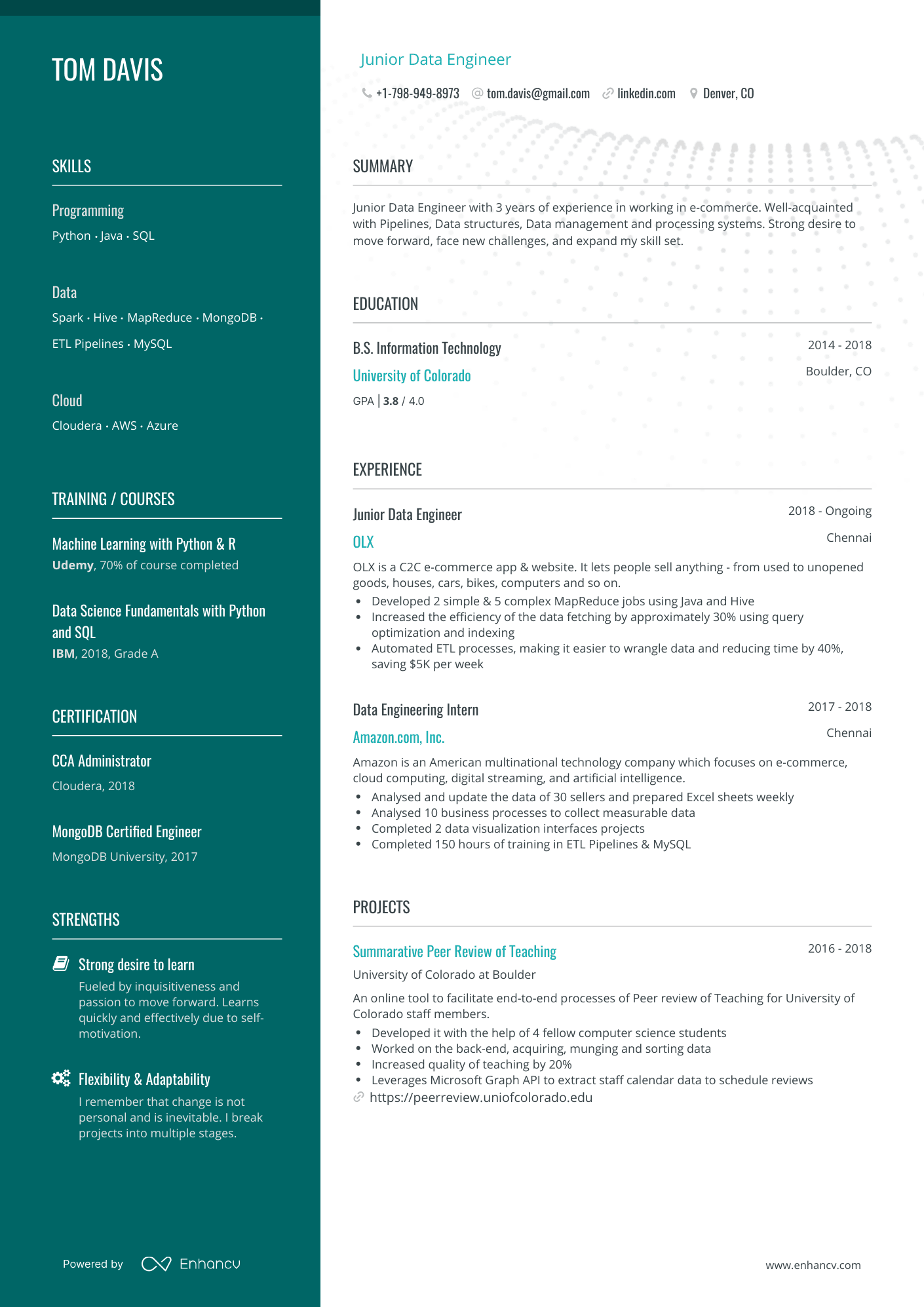 21 Data Engineer Resume Examples & Guide for 2024
