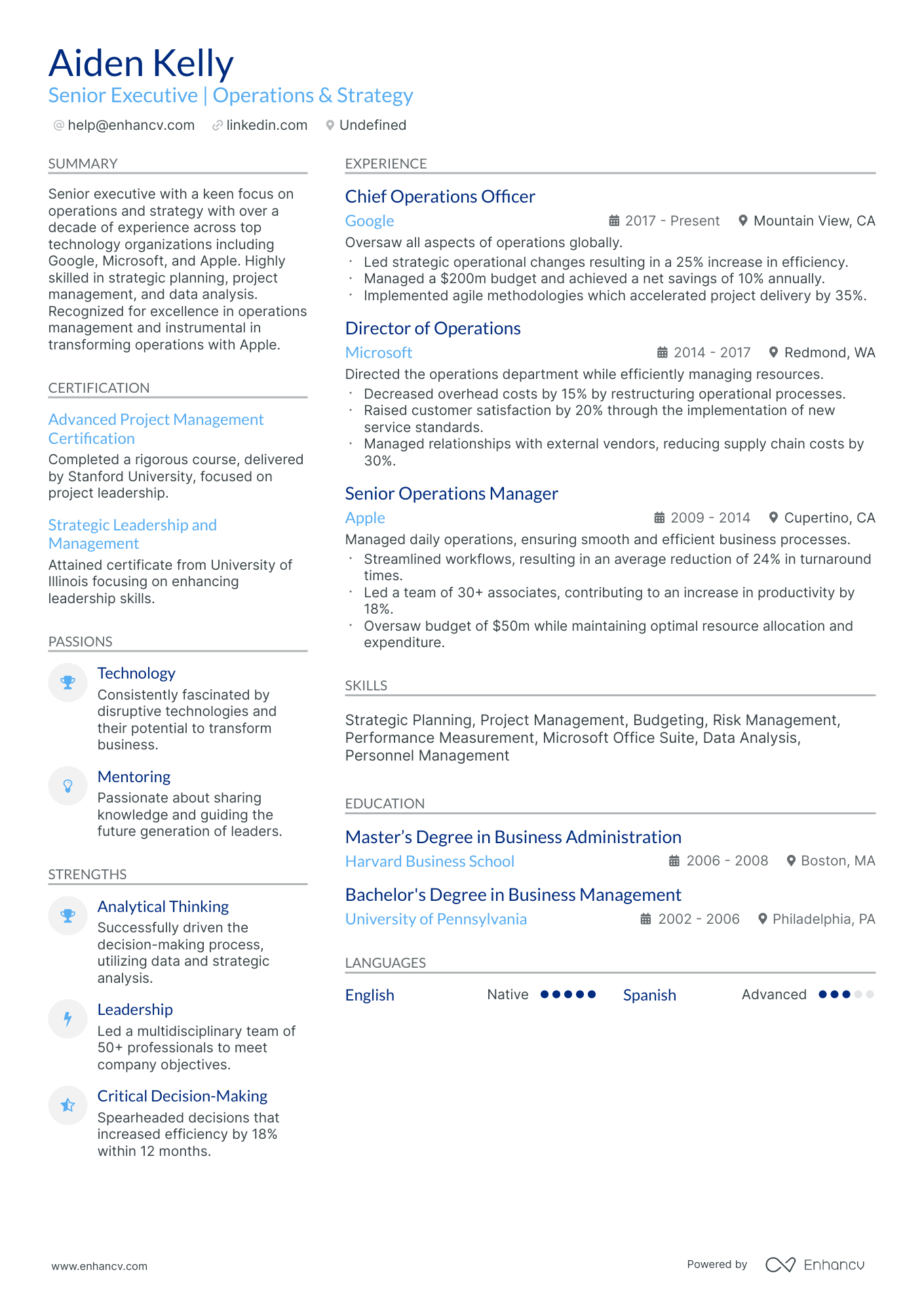 10 Board of Directors Resume Examples & Guide for 2026