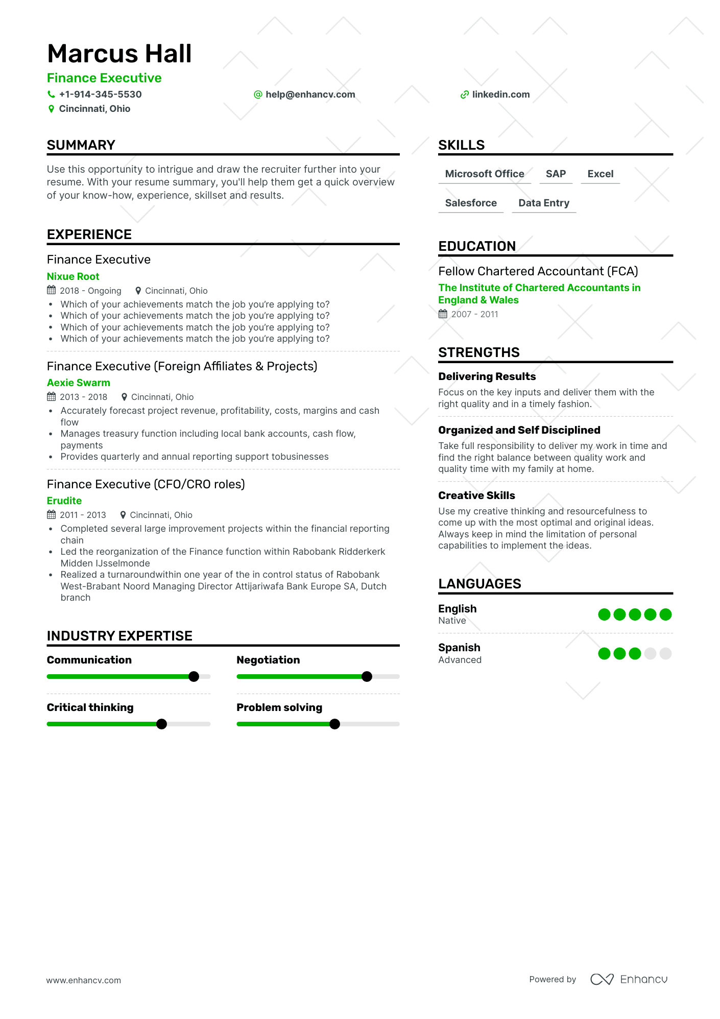 Finance Executive Resume Examples & Guide for 2023 (Layout, Skills ...