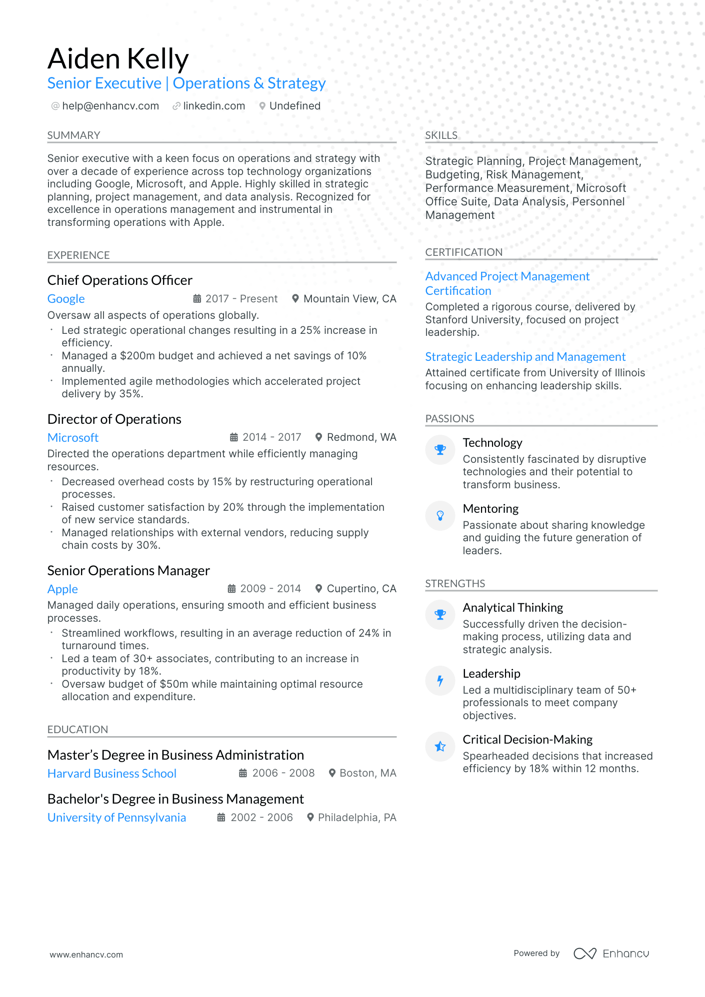 10 Board of Directors Resume Examples & Guide for 2026