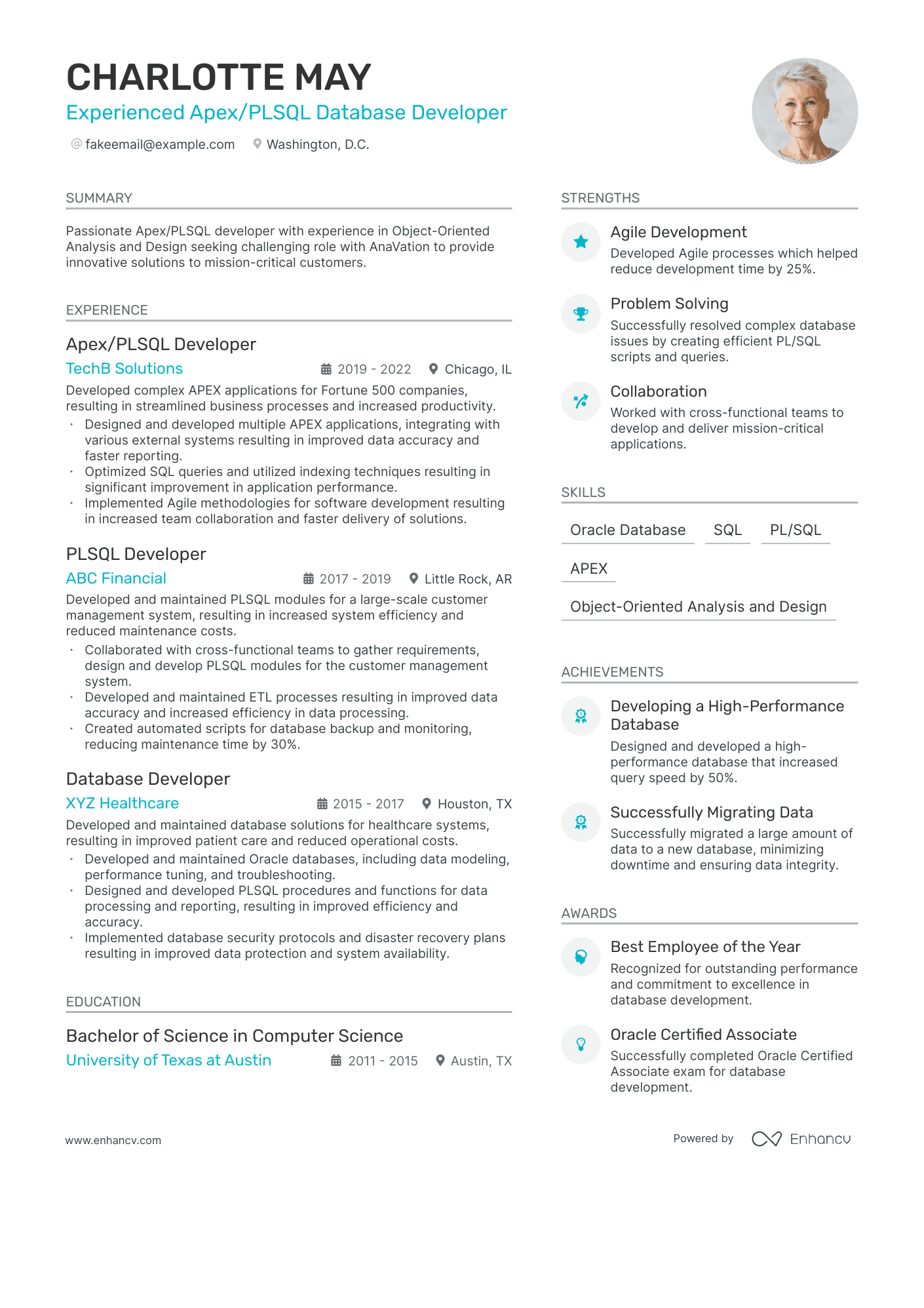 5 Database Developer Resume Examples & Guide for 2024