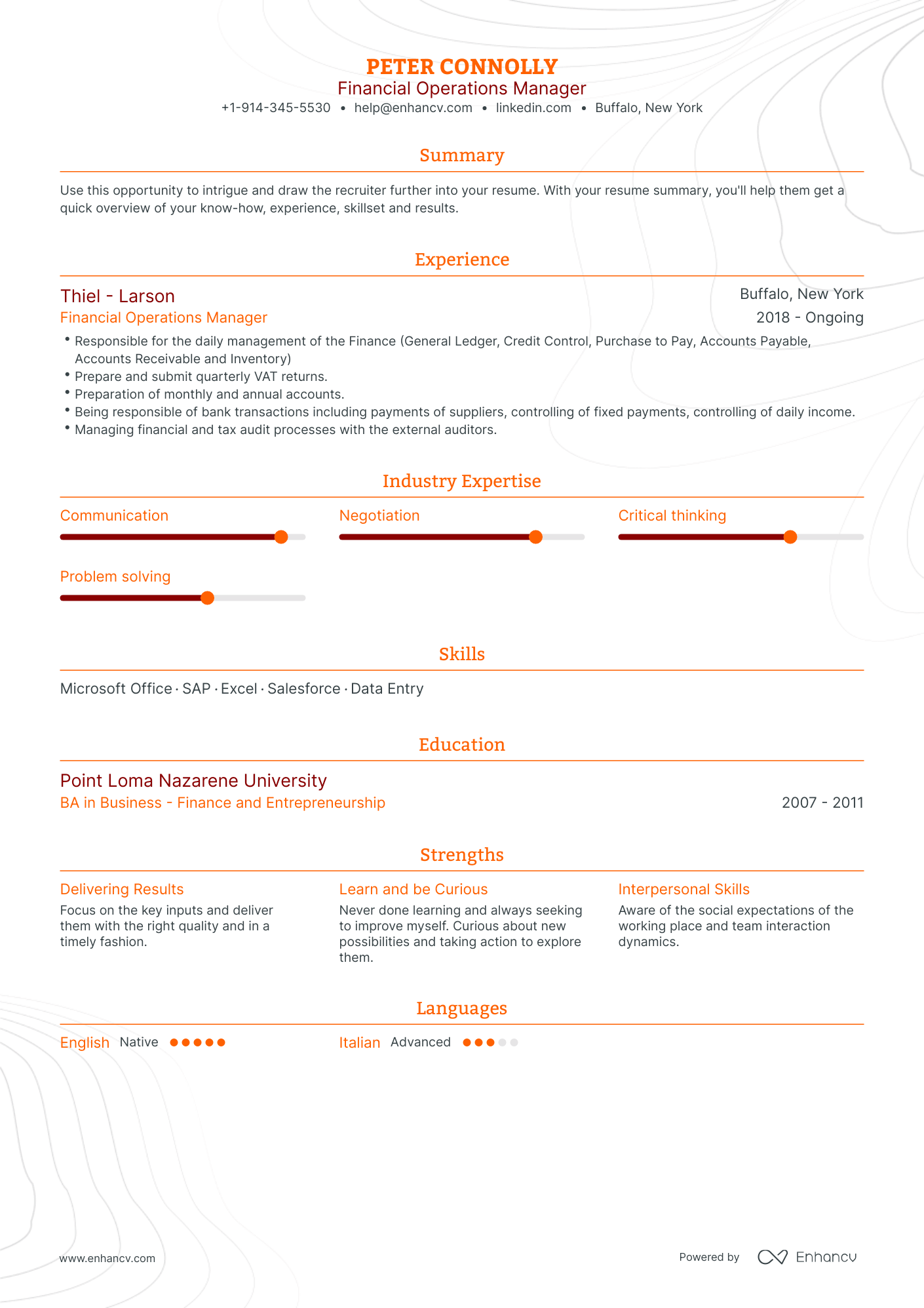 Financial Operations Manager Resume Examples & Guide for 2023 (Layout ...