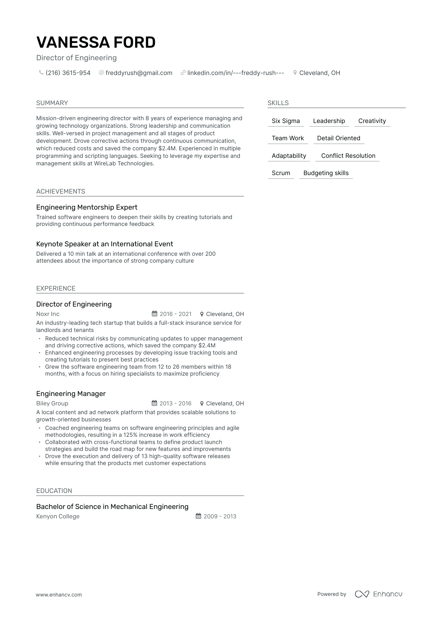Director of Engineering Resume Examples & Guide for 2023 (Layout ...
