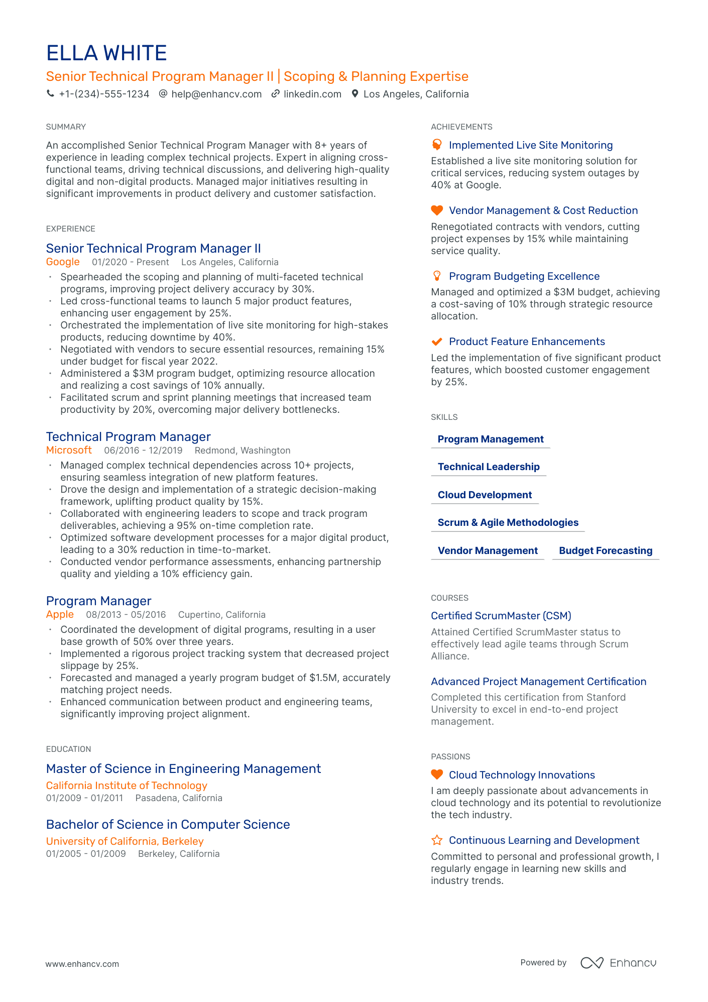 5 Technical Program Manager Resume Examples & Guide for 2024