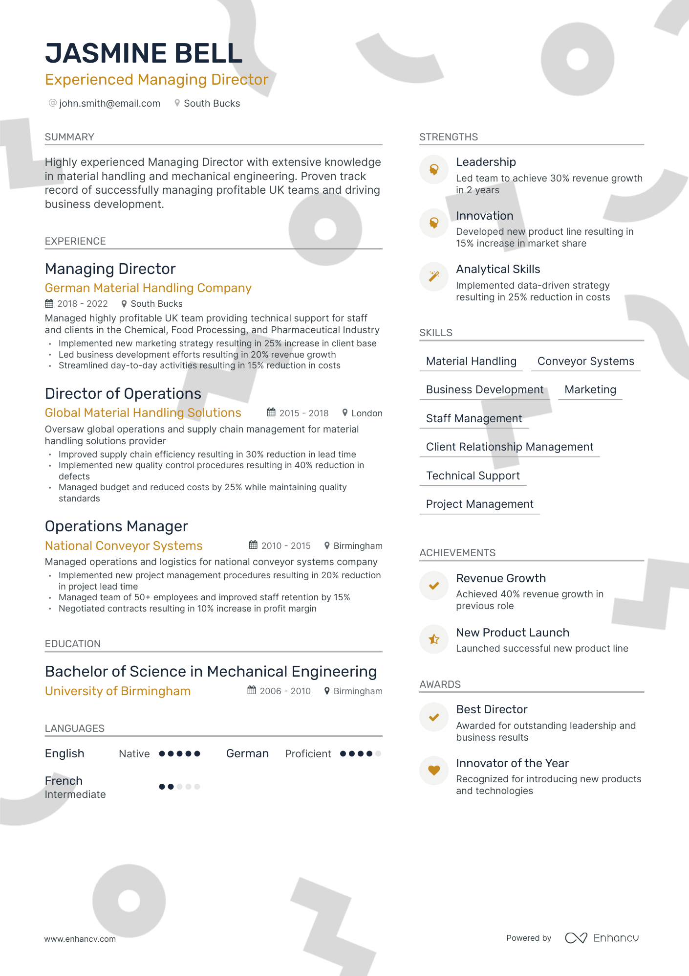 12 Director Resume Examples & Guide for 2023