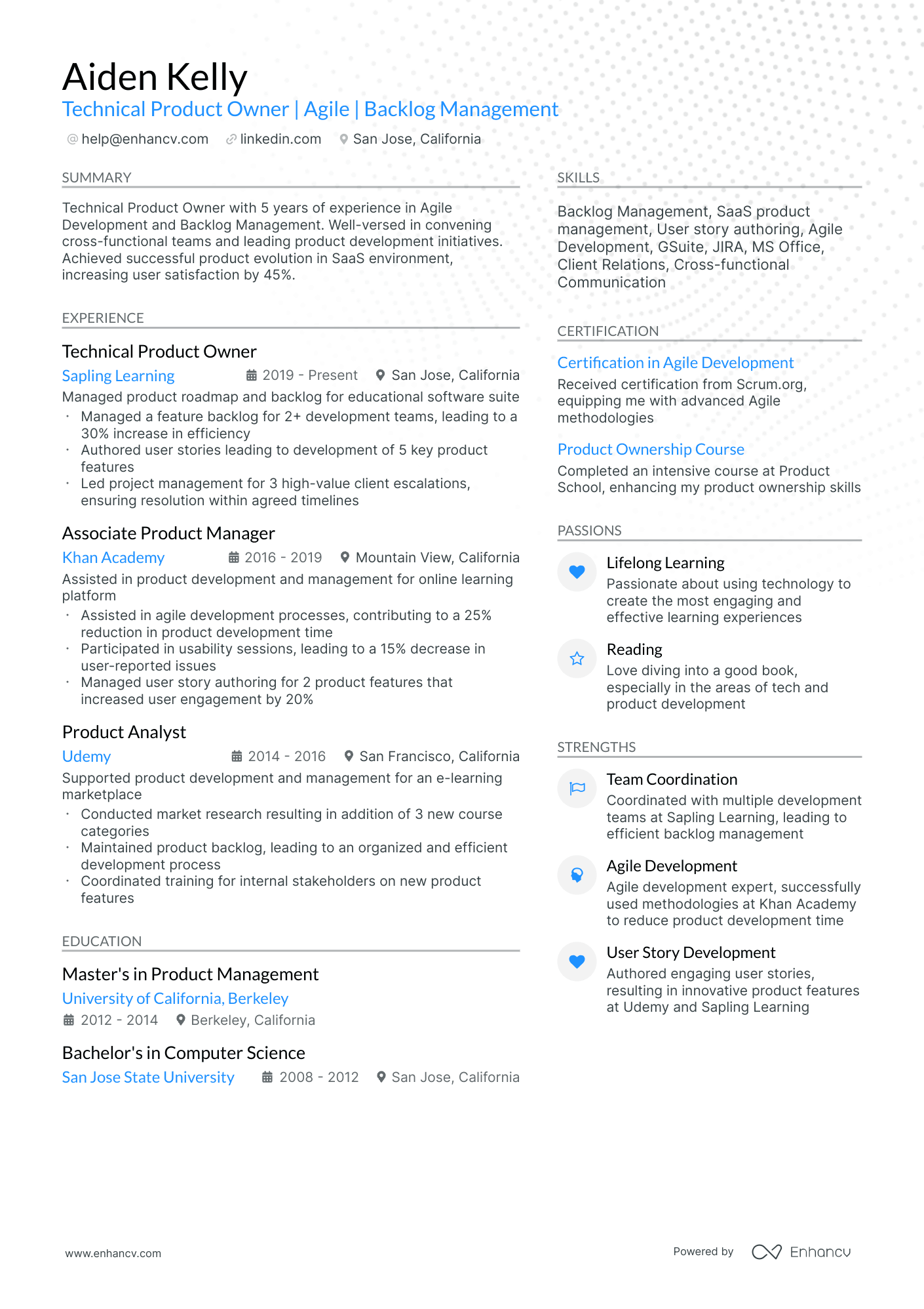 10 Technical Product Owner Resume Examples & Guide for 2025