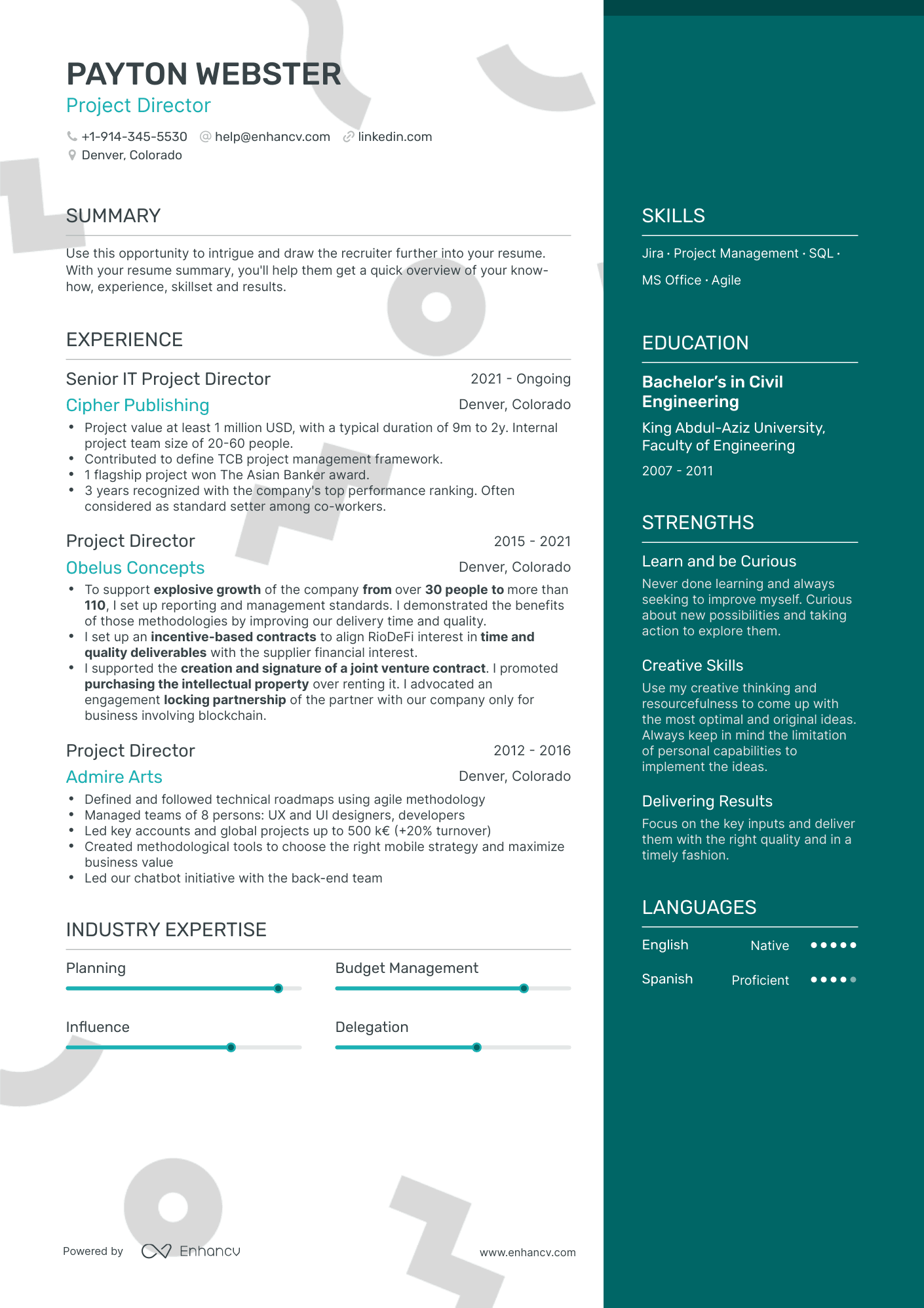 Project Director Resume Examples & Guide for 2023 (Layout, Skills ...