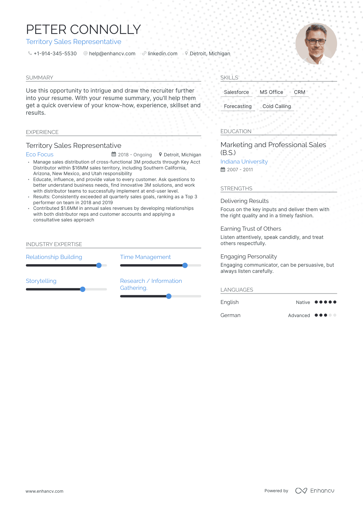 Territory Sales Representative Resume Examples & Guide for 2023 (Layout ...