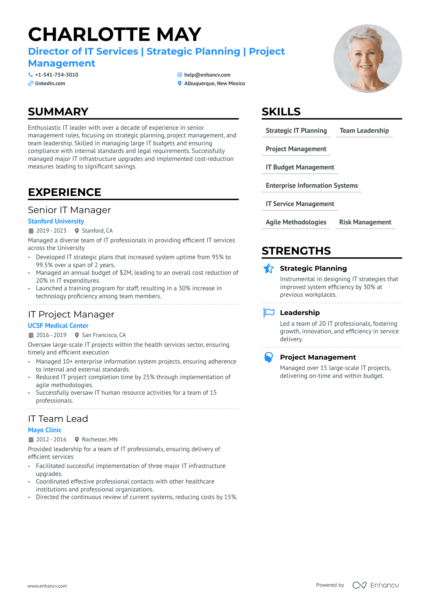 8 IT Director Resume Examples With 10/10 Score In 2024