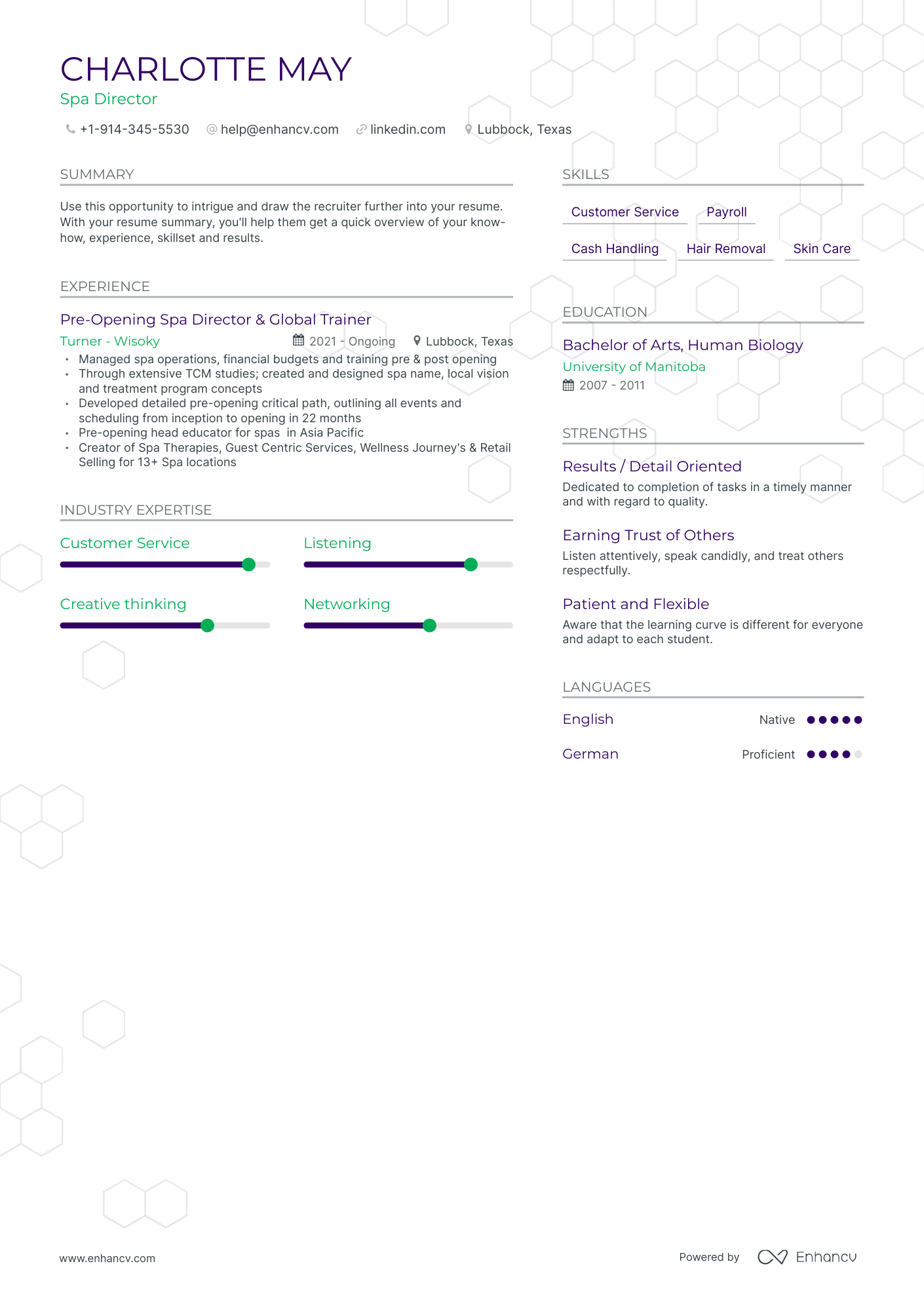 Spa Director Resume Examples & Guide for 2023 (Layout, Skills, Keywords ...