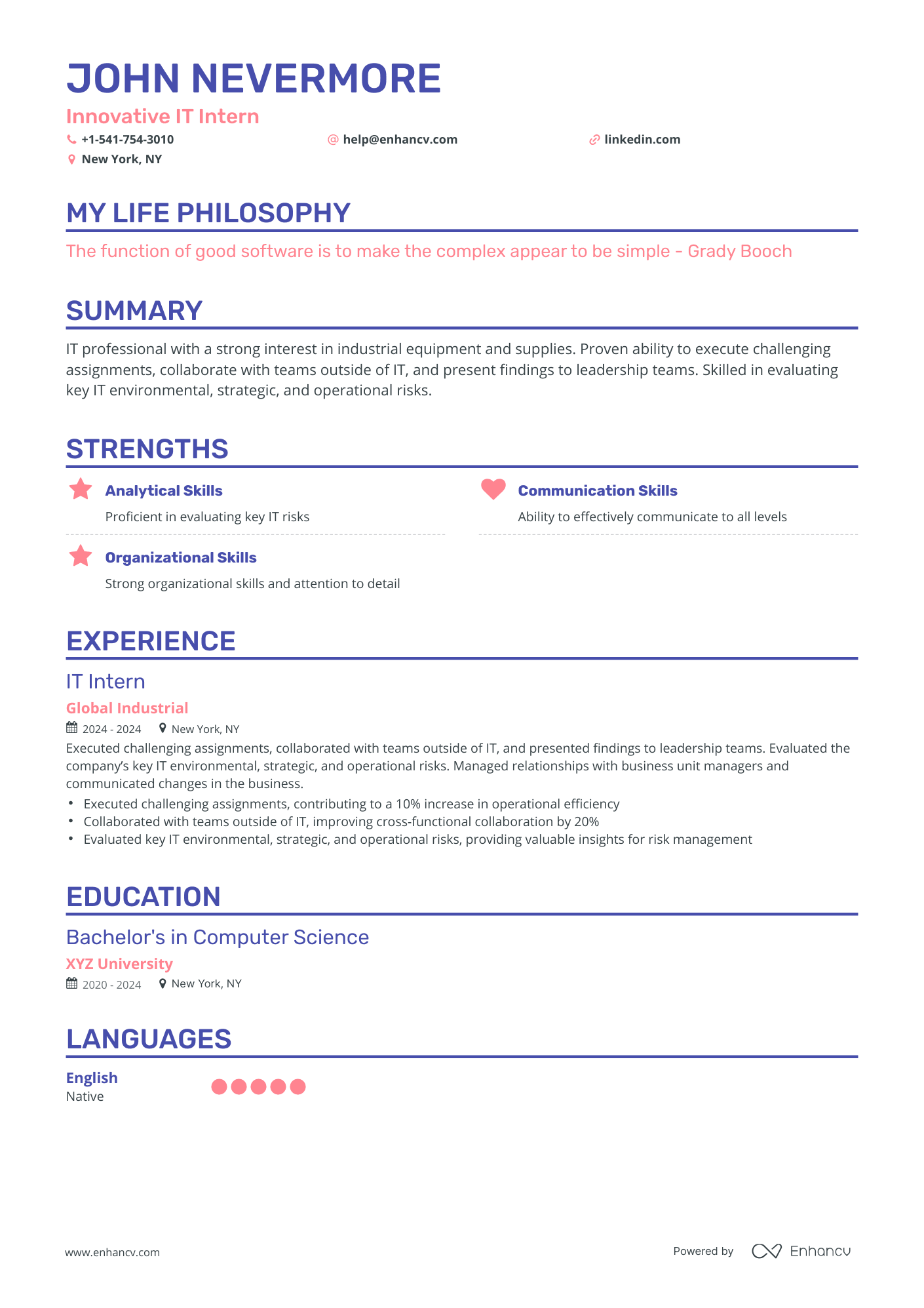 5 IT Intern Resume Examples & Guide for 2024