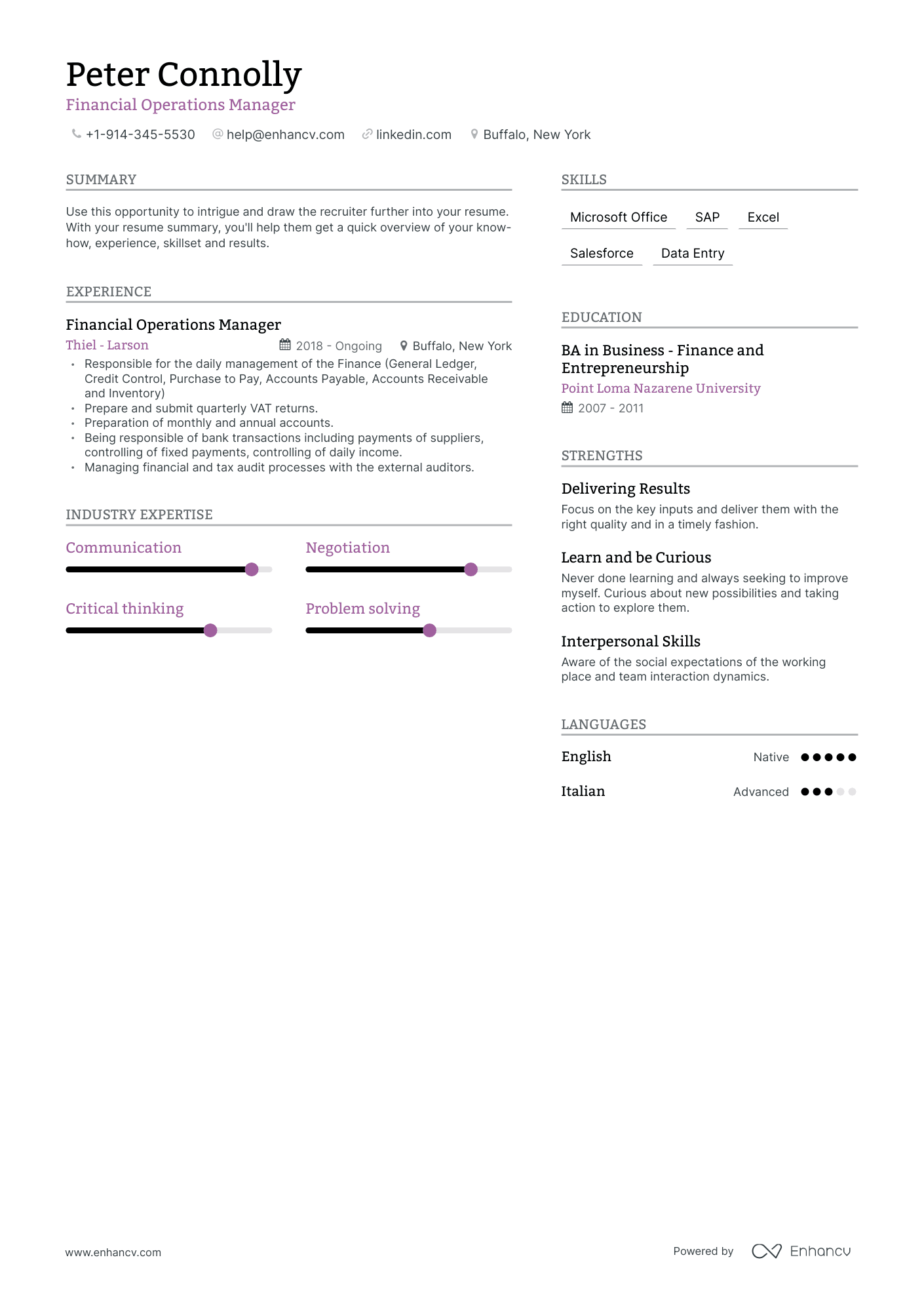 Financial Operations Manager Resume Examples & Guide for 2023 (Layout ...