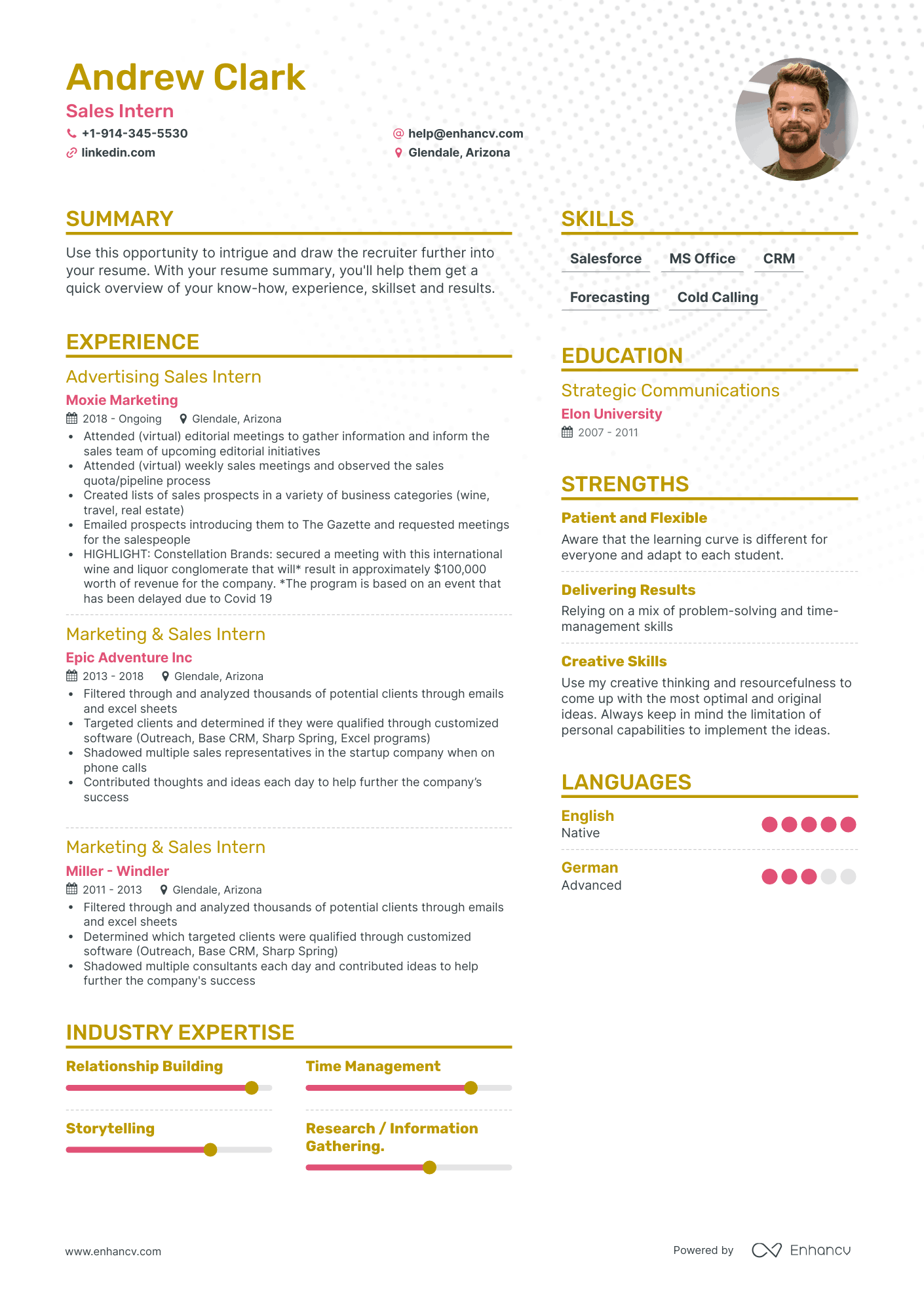 Sales Intern Resume Examples & Guide for 2023 (Layout, Skills, Keywords ...