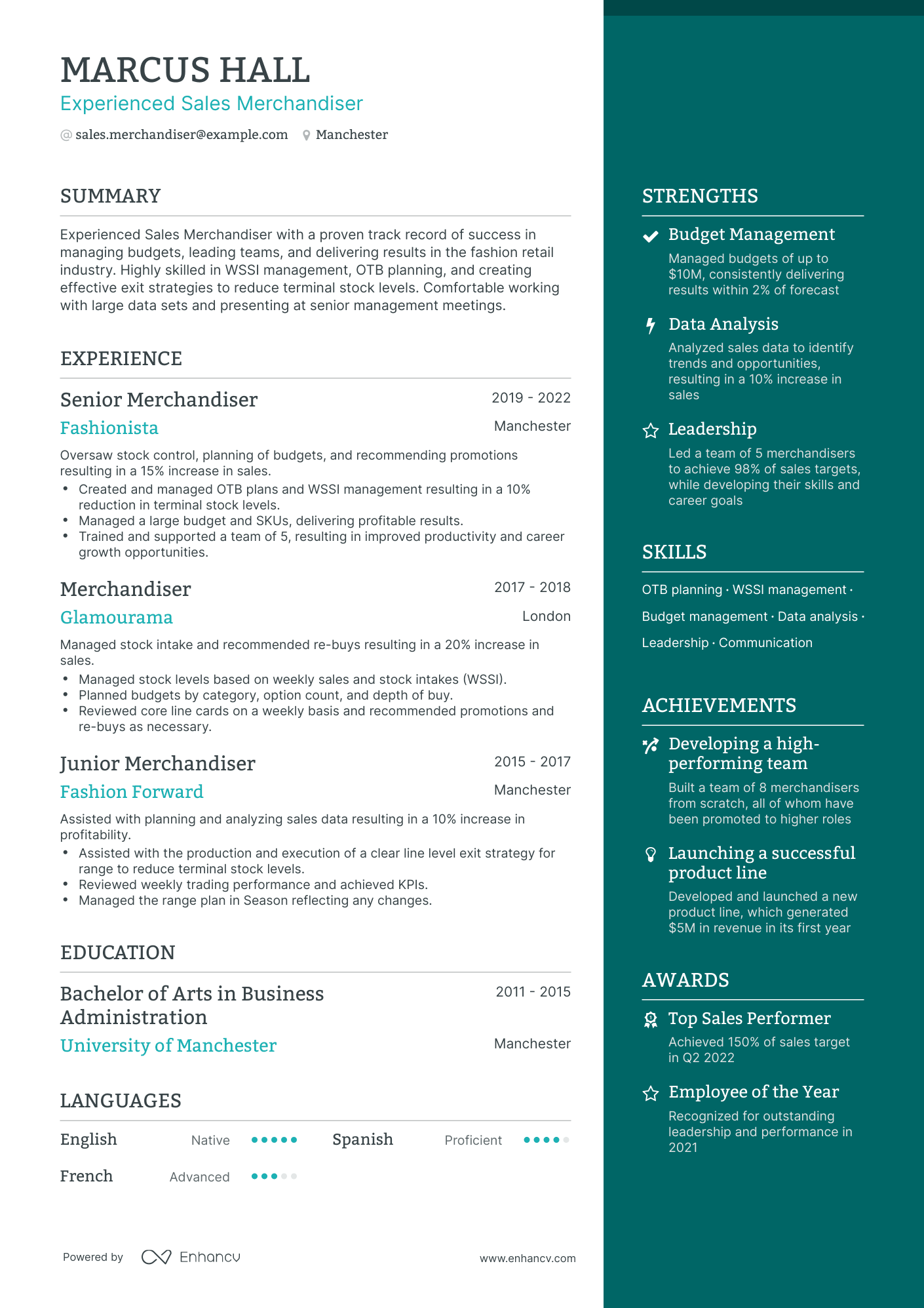5 Sales Merchandiser Resume Examples & Guide for 2024