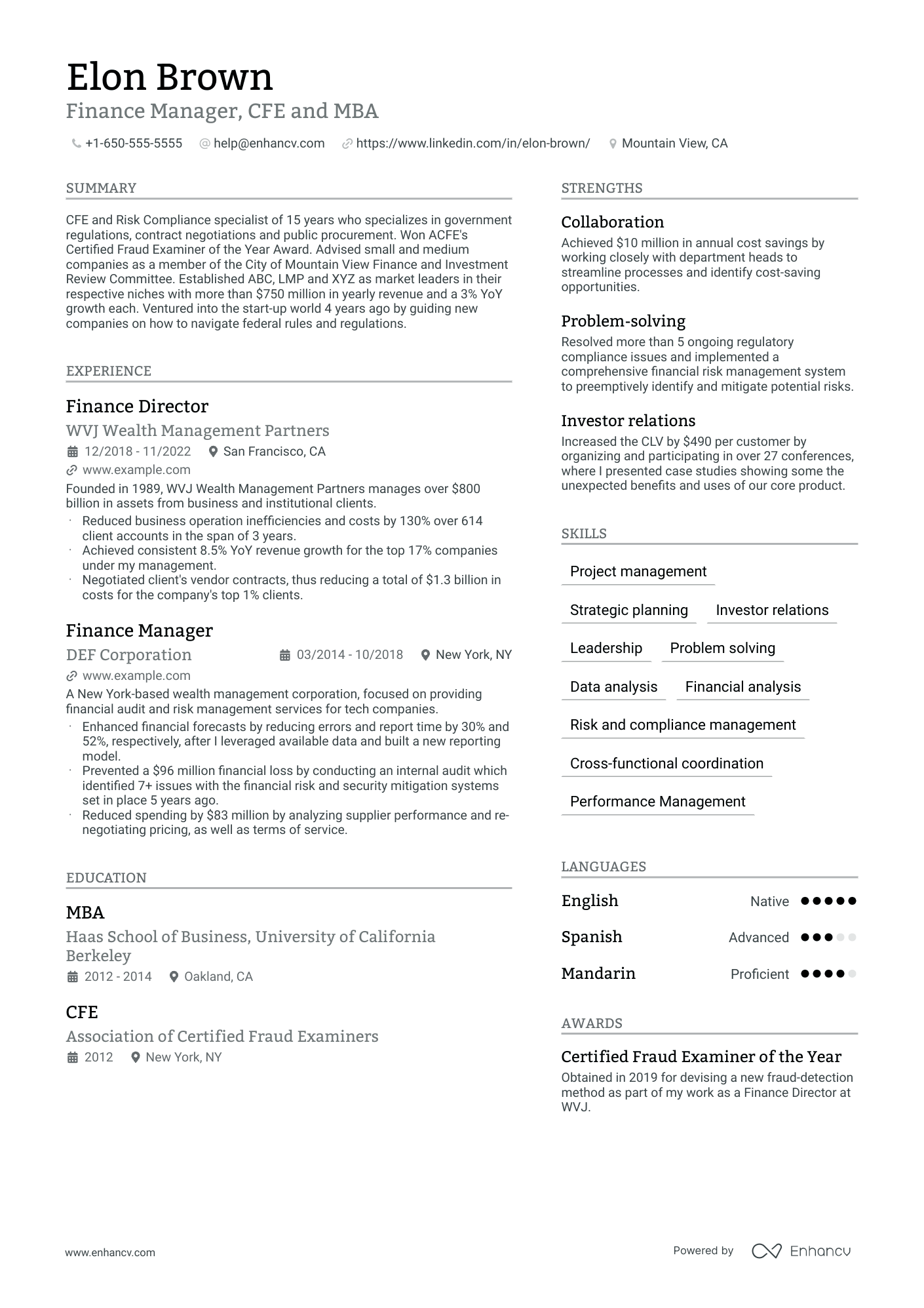 5 Chief Financial Officer Resume Examples & Guide for 2024