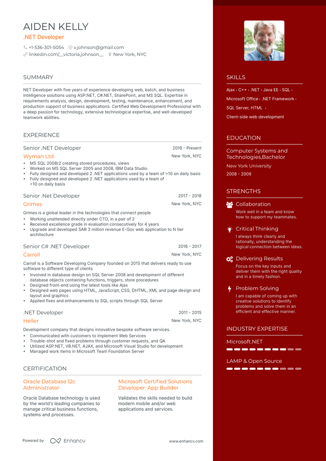 5 .Net Developer Resume Examples & Guide for 2023