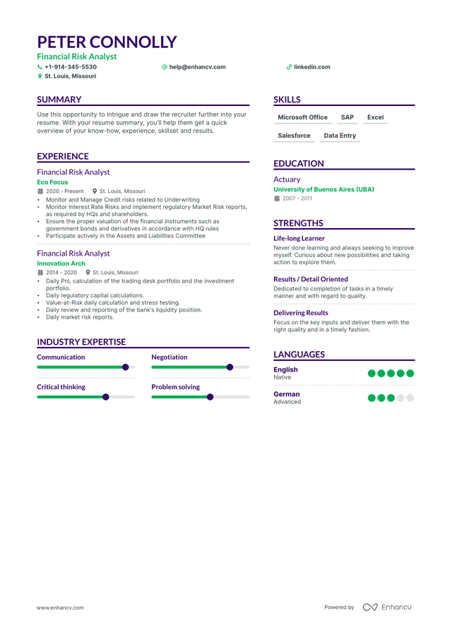 5 Financial Risk Analyst Resume Examples & Guide for 2023